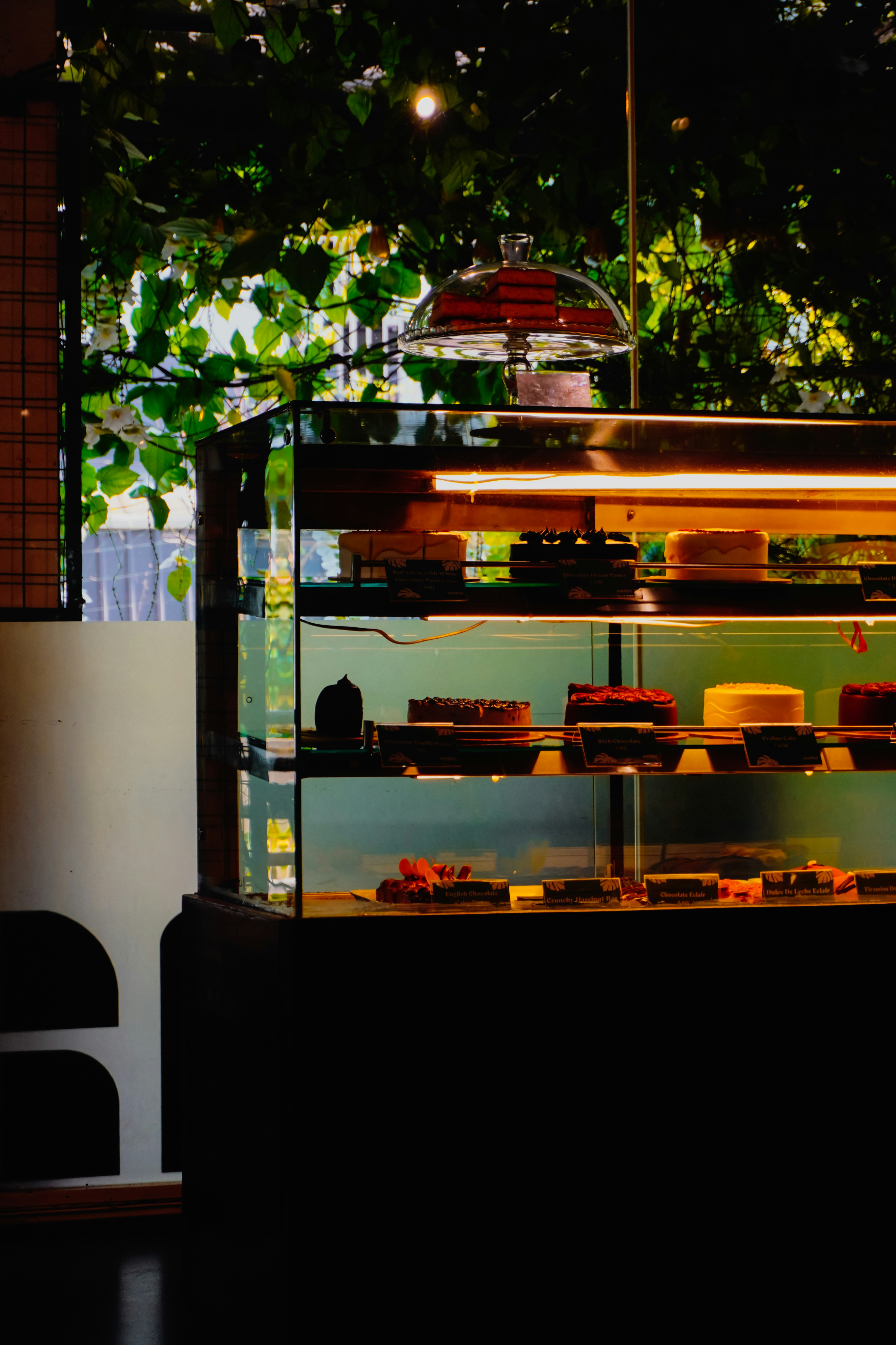 Display Case Delights: Cakes Under Warm Neon Light