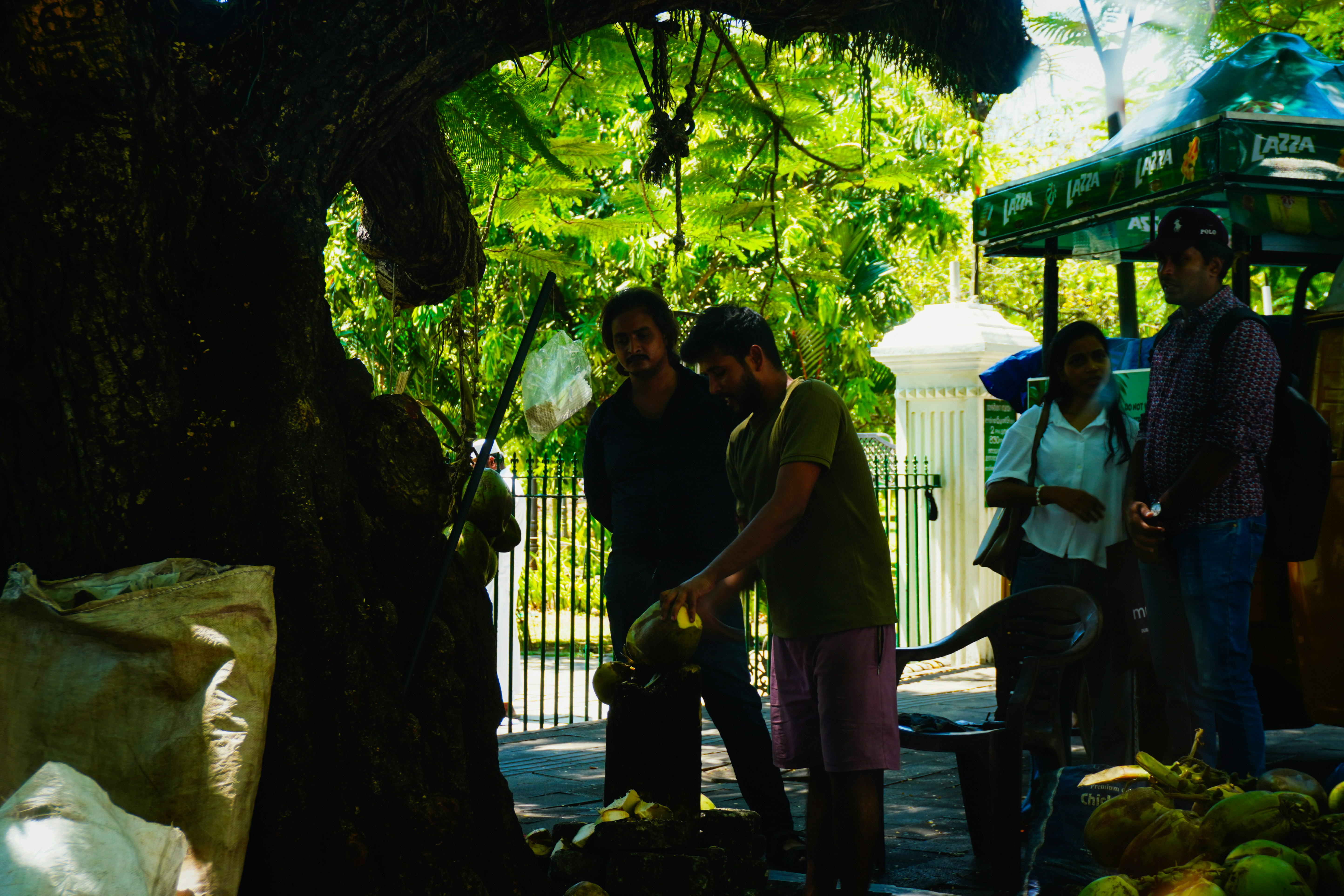 Shade under the Market Tree: A Quiet Crew by the Vendor Stall