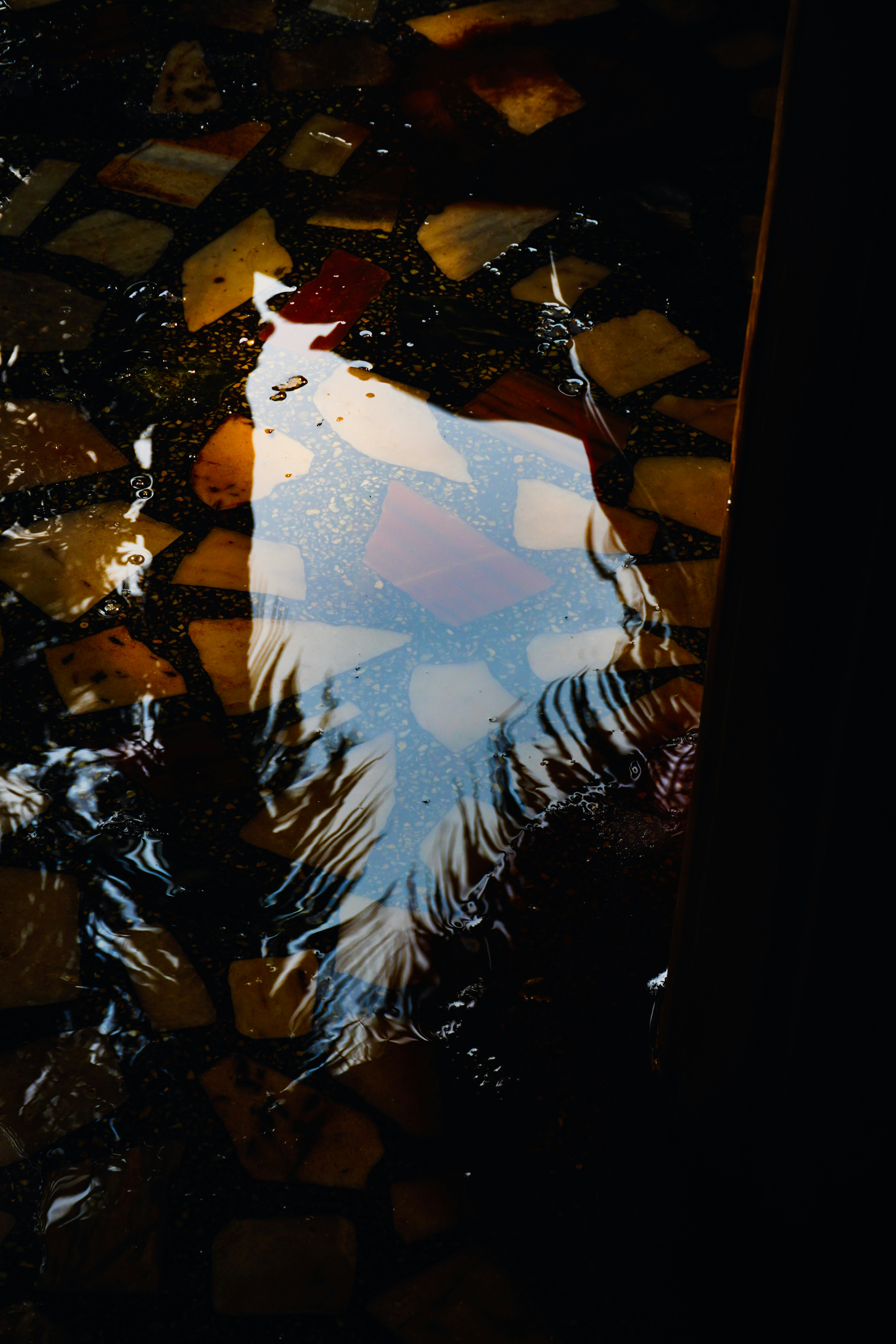 Reflected Mosaic on Wet Tile: Night Scene with Rippled Glass