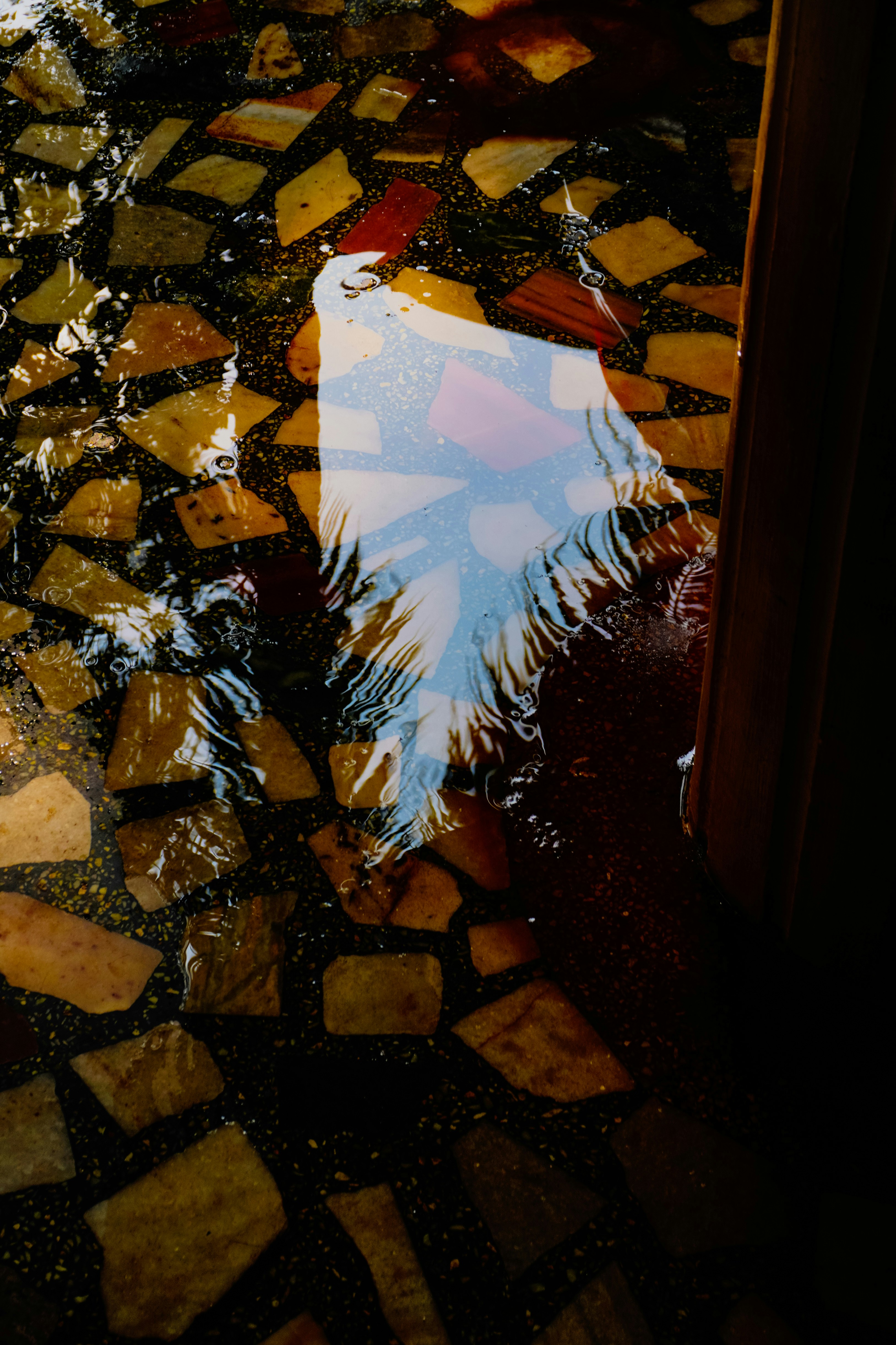 Reflections on a Mosaic Floor: A Glimpse Through Wet Glass