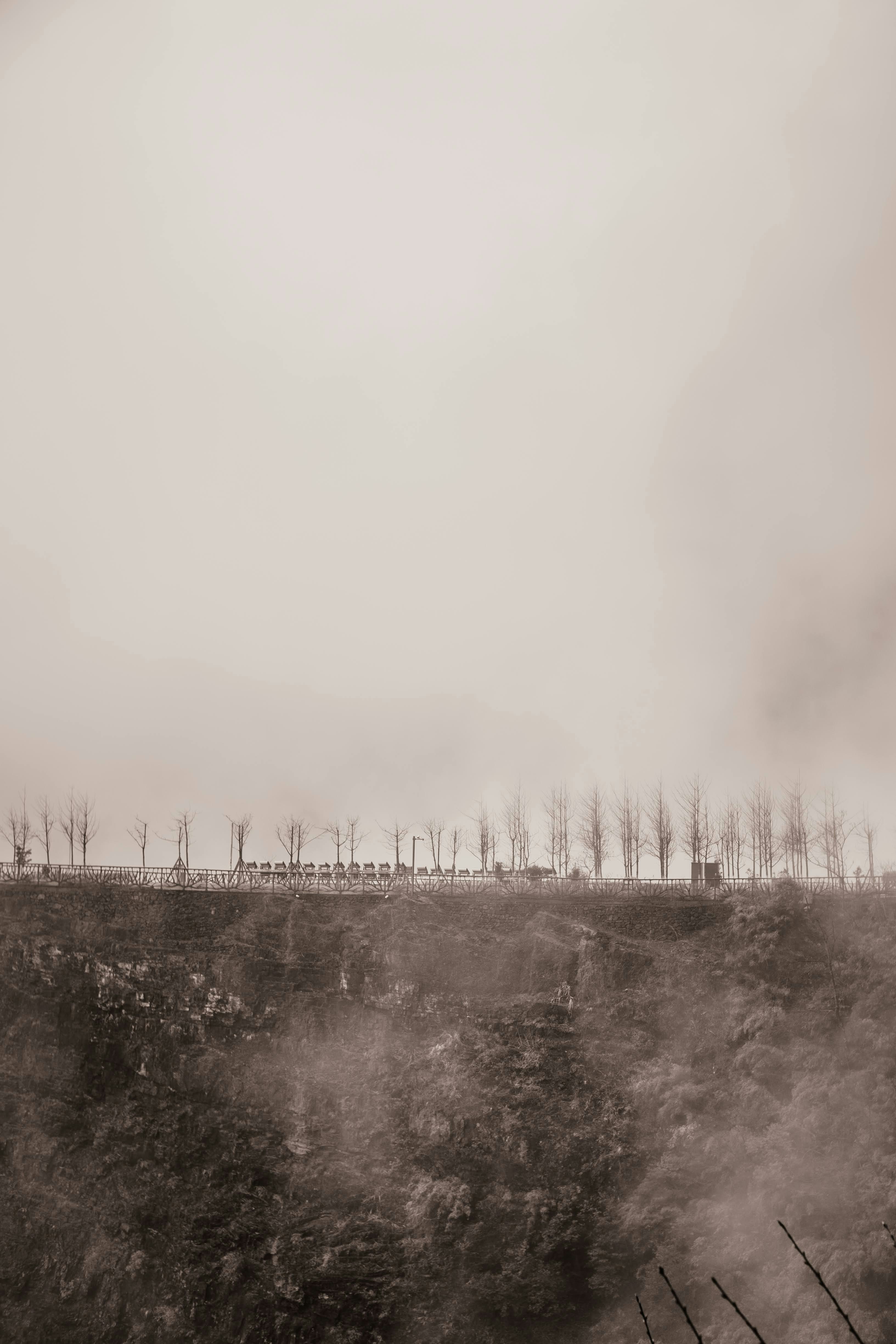 Line of Sentinels: Trees and Smoke on a Quiet Cliff