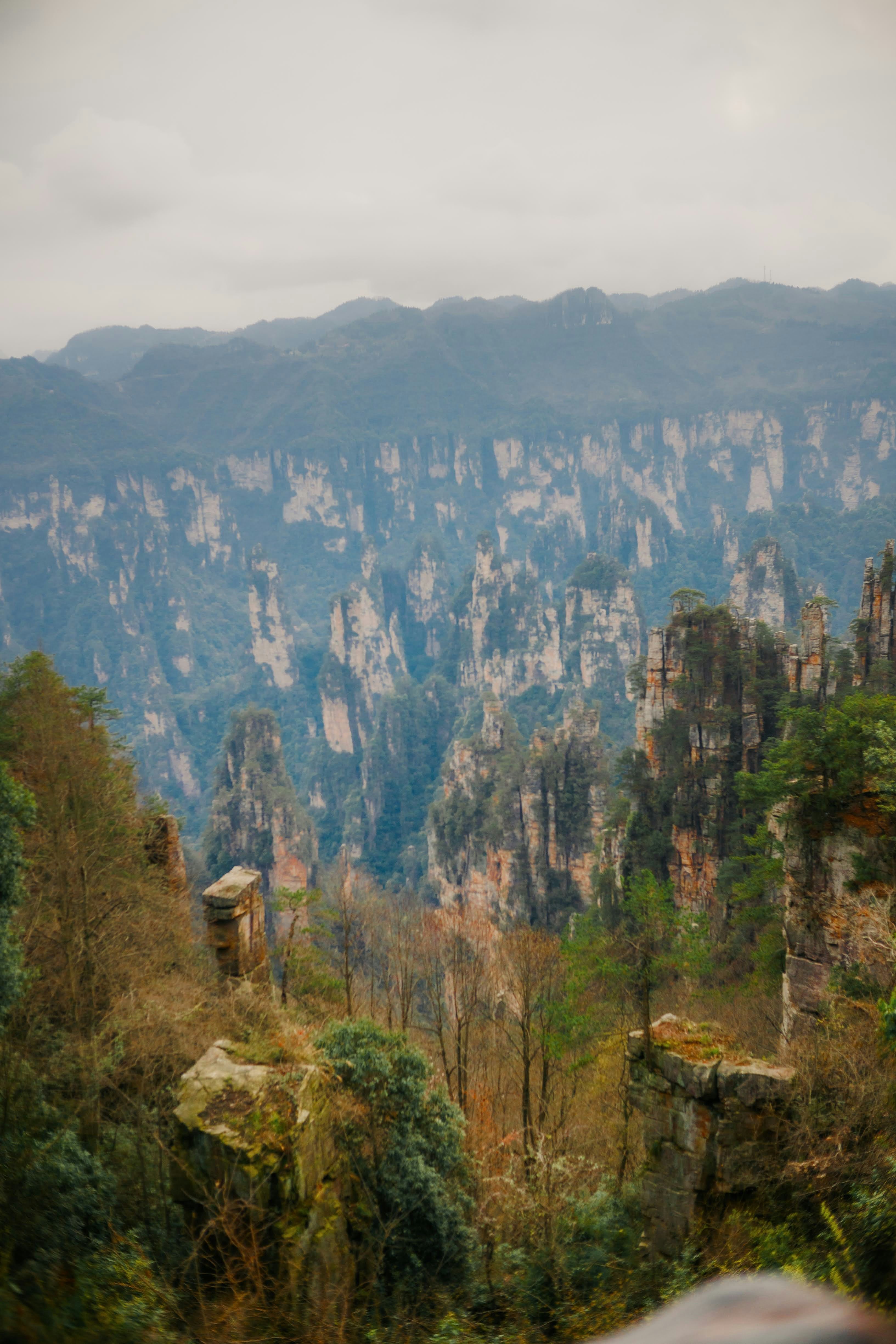 Cliff-Edge Columns Loom Over a Misty Canyon Forest