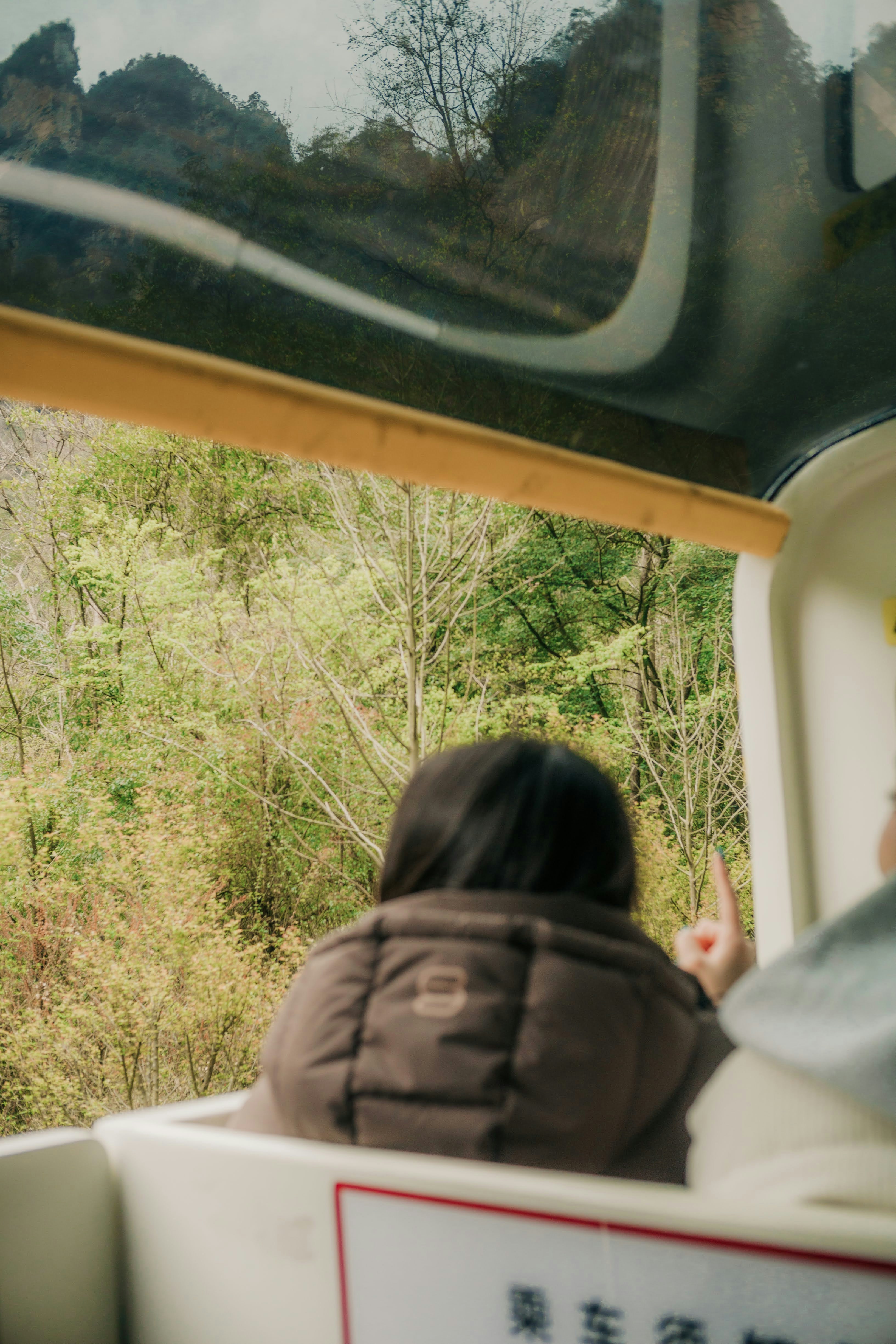 Window of a Journey: Passengers Perched at the Glimpse of Forest