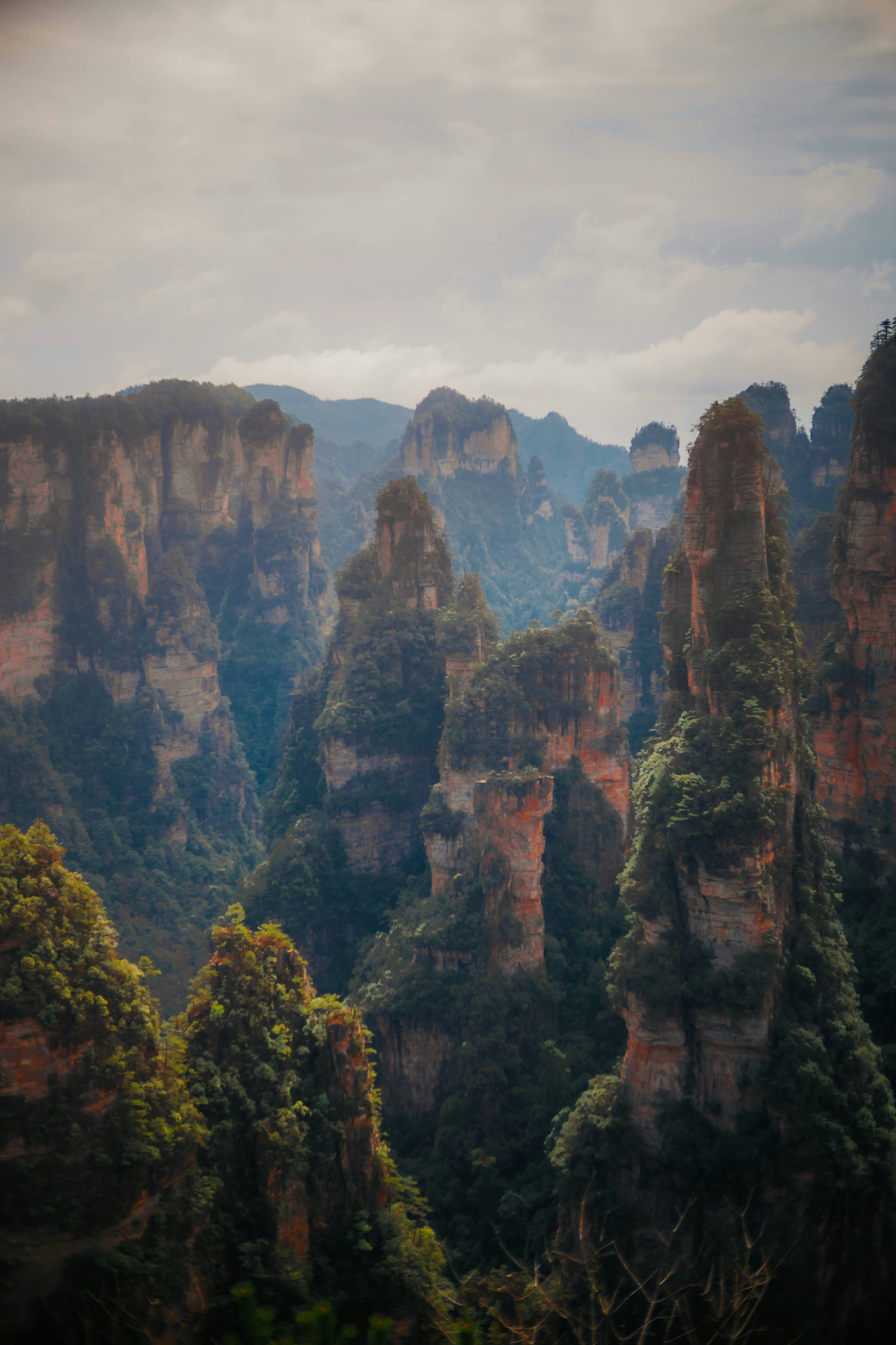 Emerald Pillars: A Majestic Forest of Stone Spires