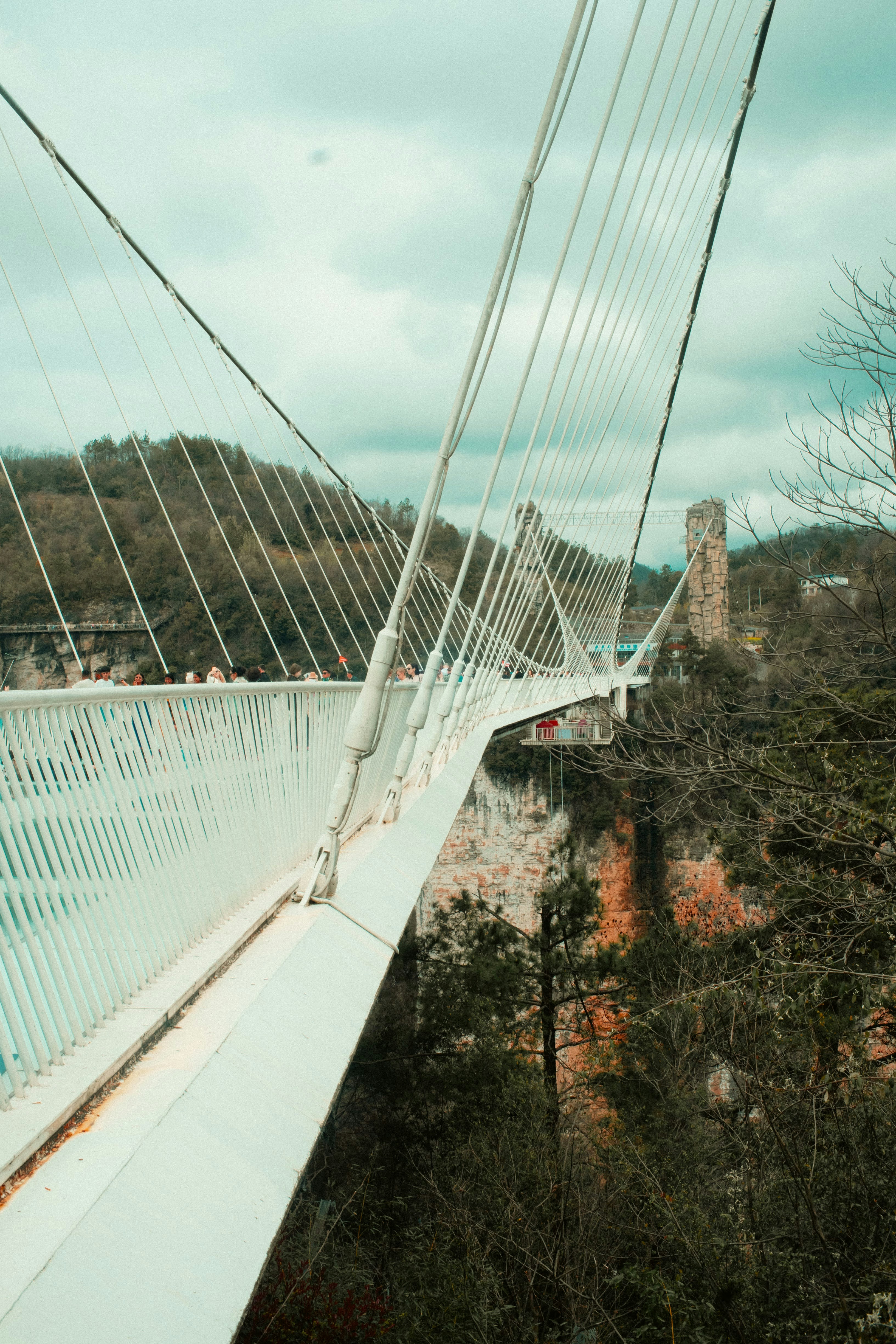 Suspended Lines: A Walker’s View Across the White Cable Bridge