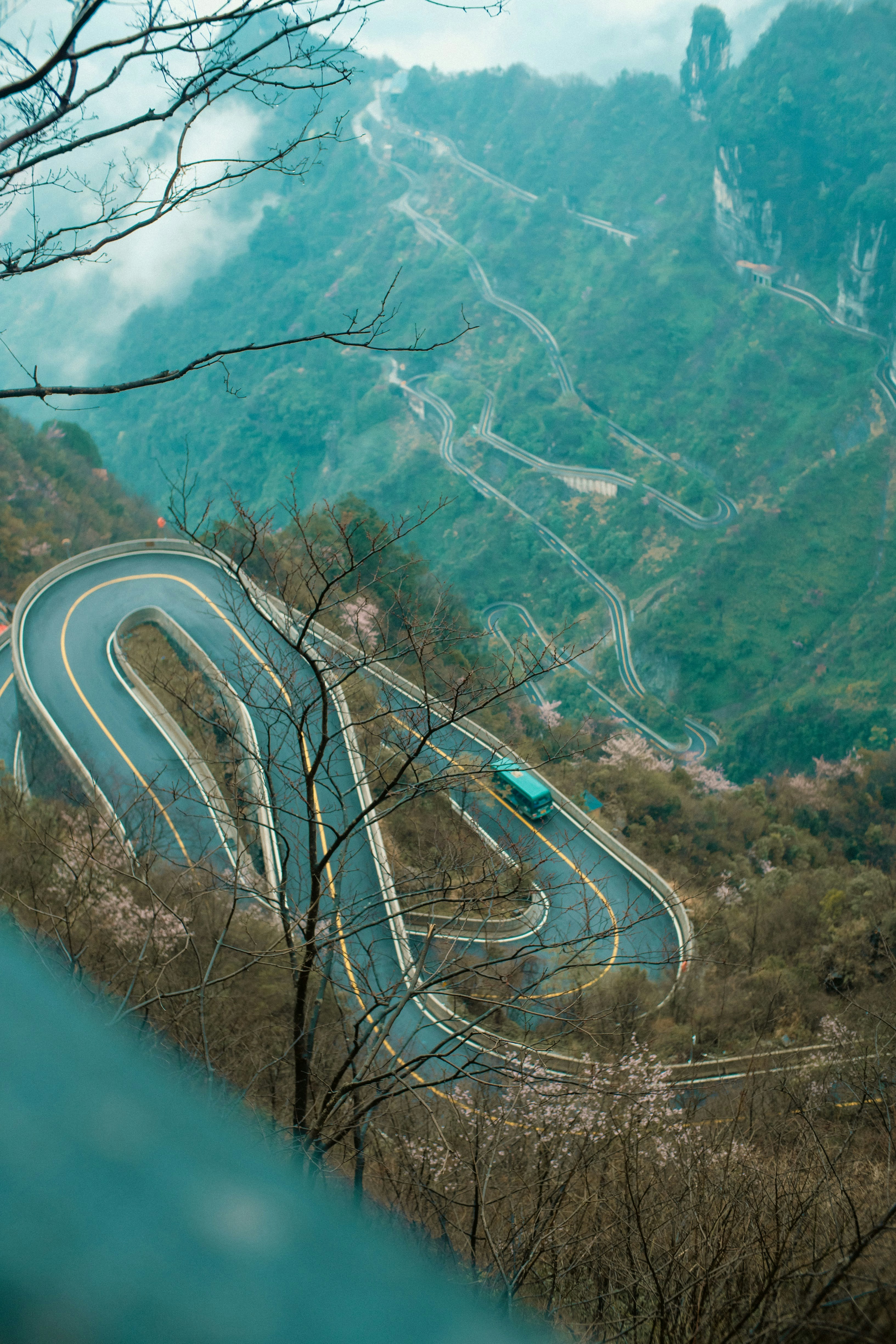 Winding Ribbon of Taiga: A Serpentine Mountain Road Seen from Above