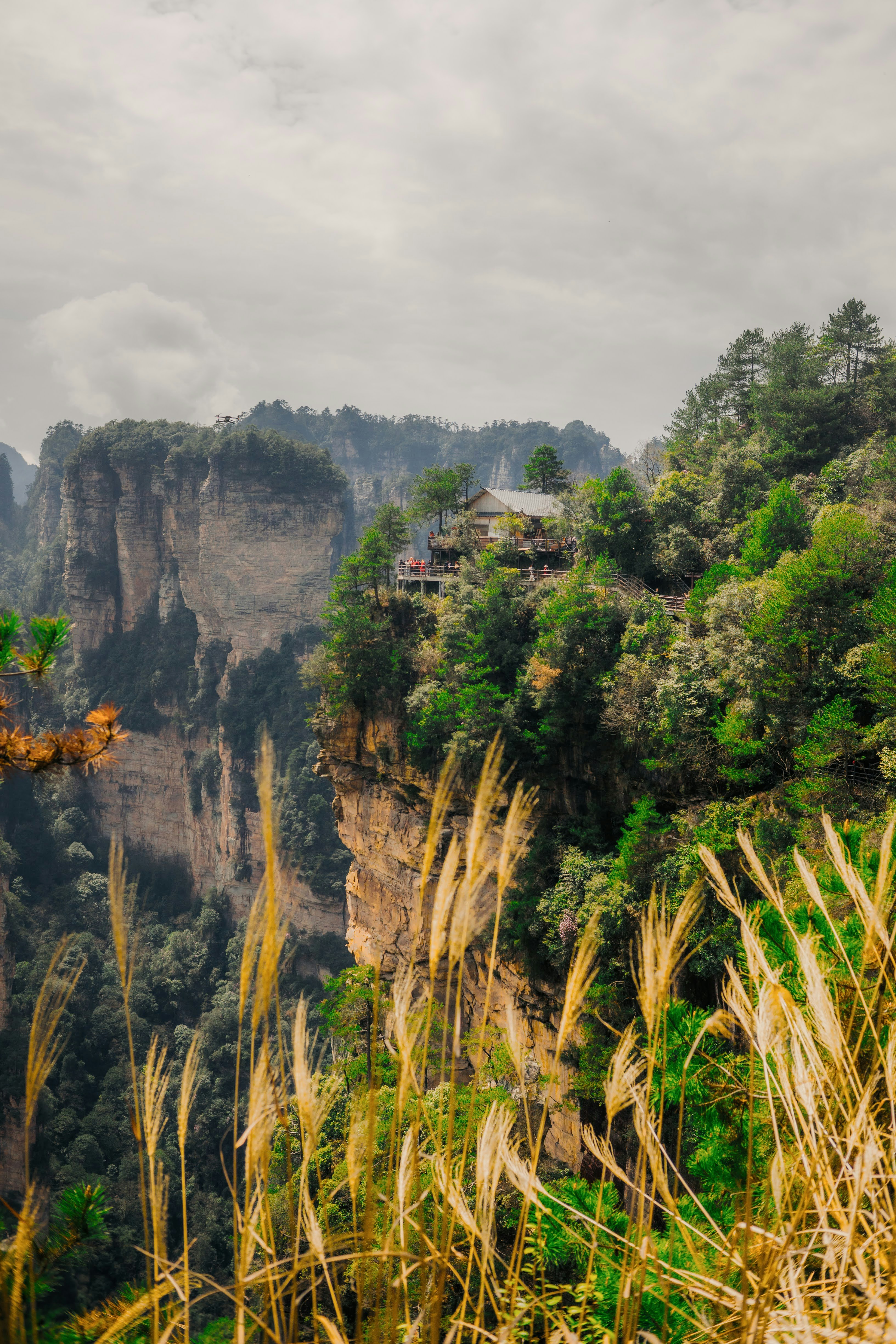 Clifftop Lodge Amid towering pillars and golden grasses