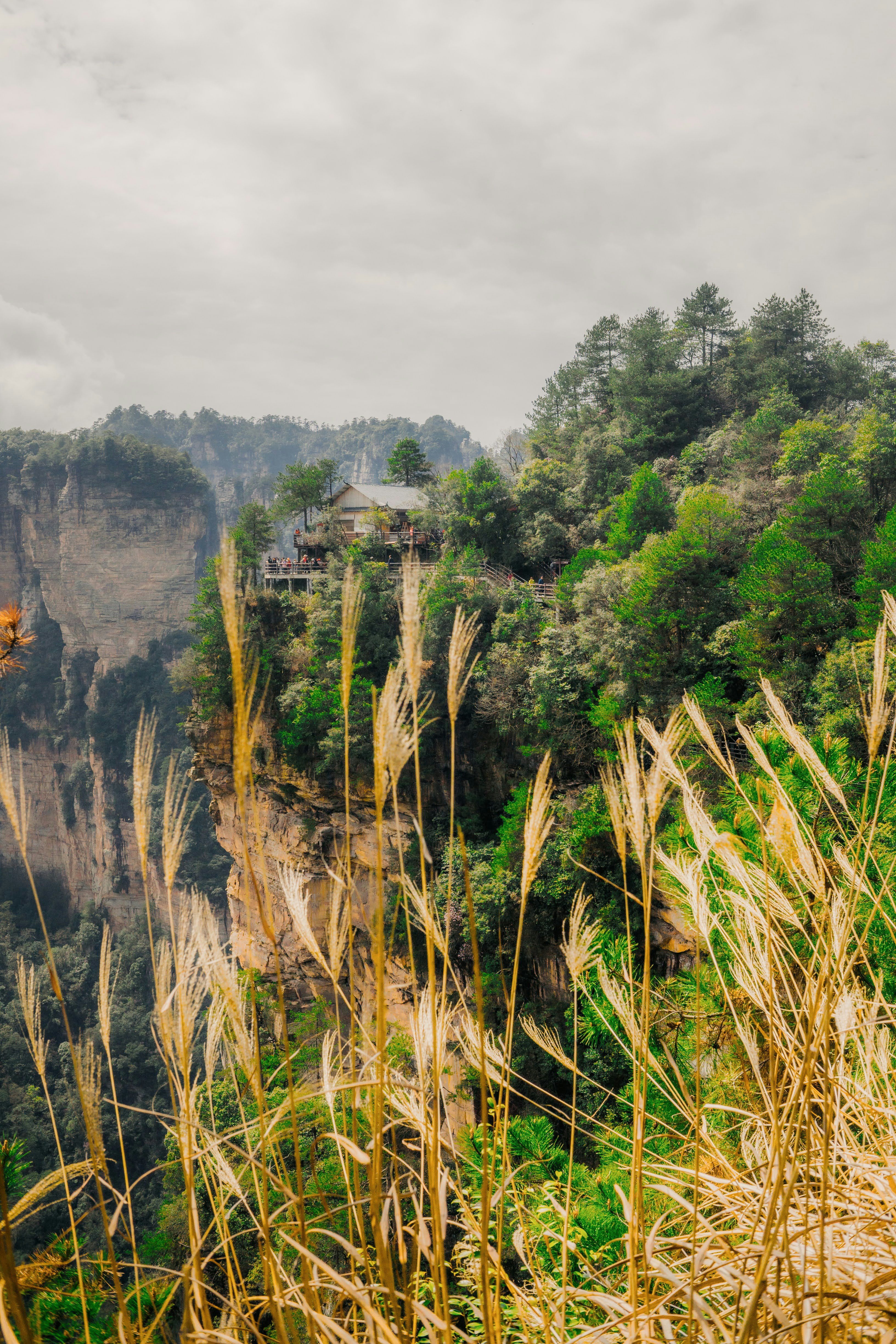 Cliffside Haven: A Shrouded House Amid Verdant Peaks