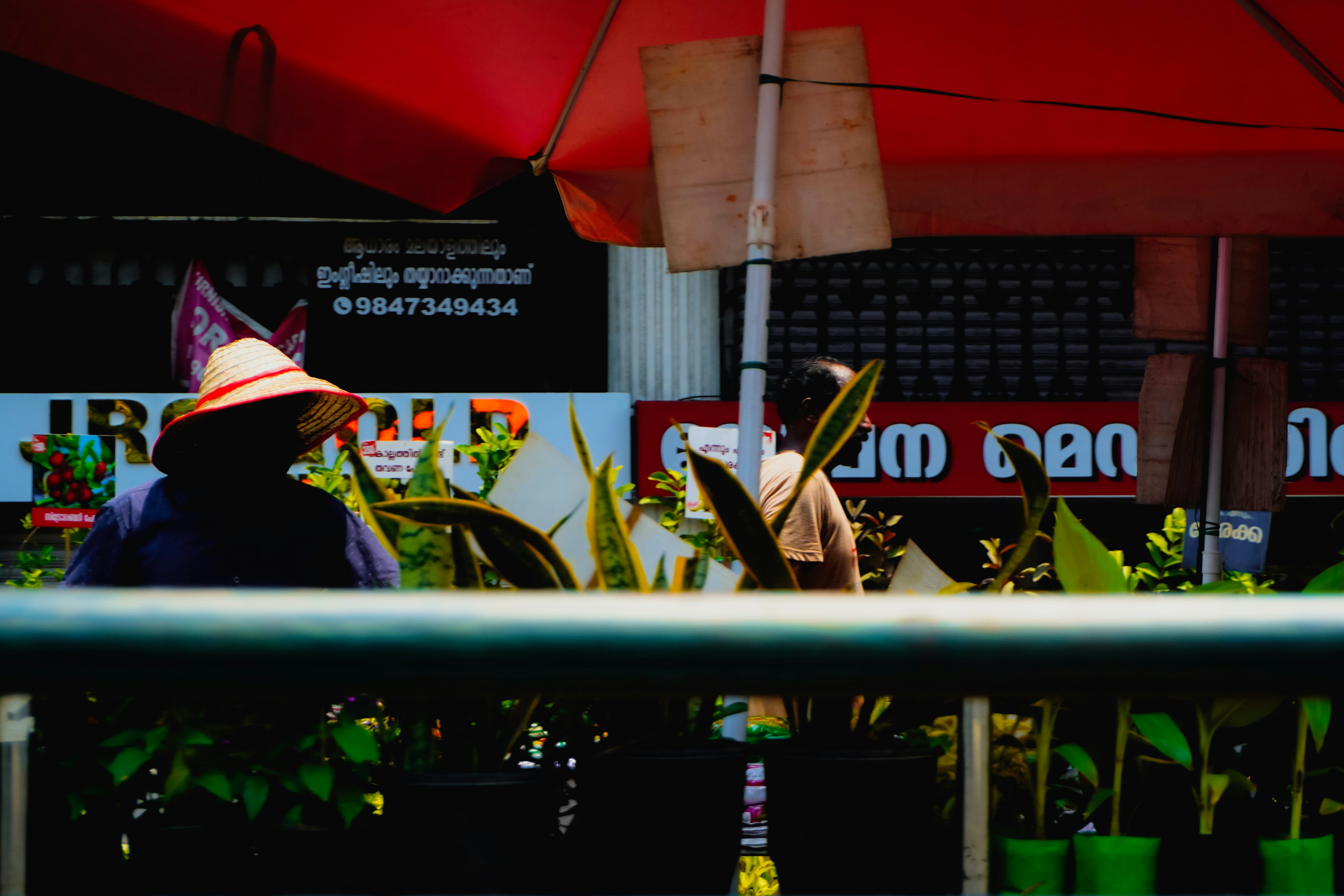 Sunlit Market Portrait Behind the Green Barrier