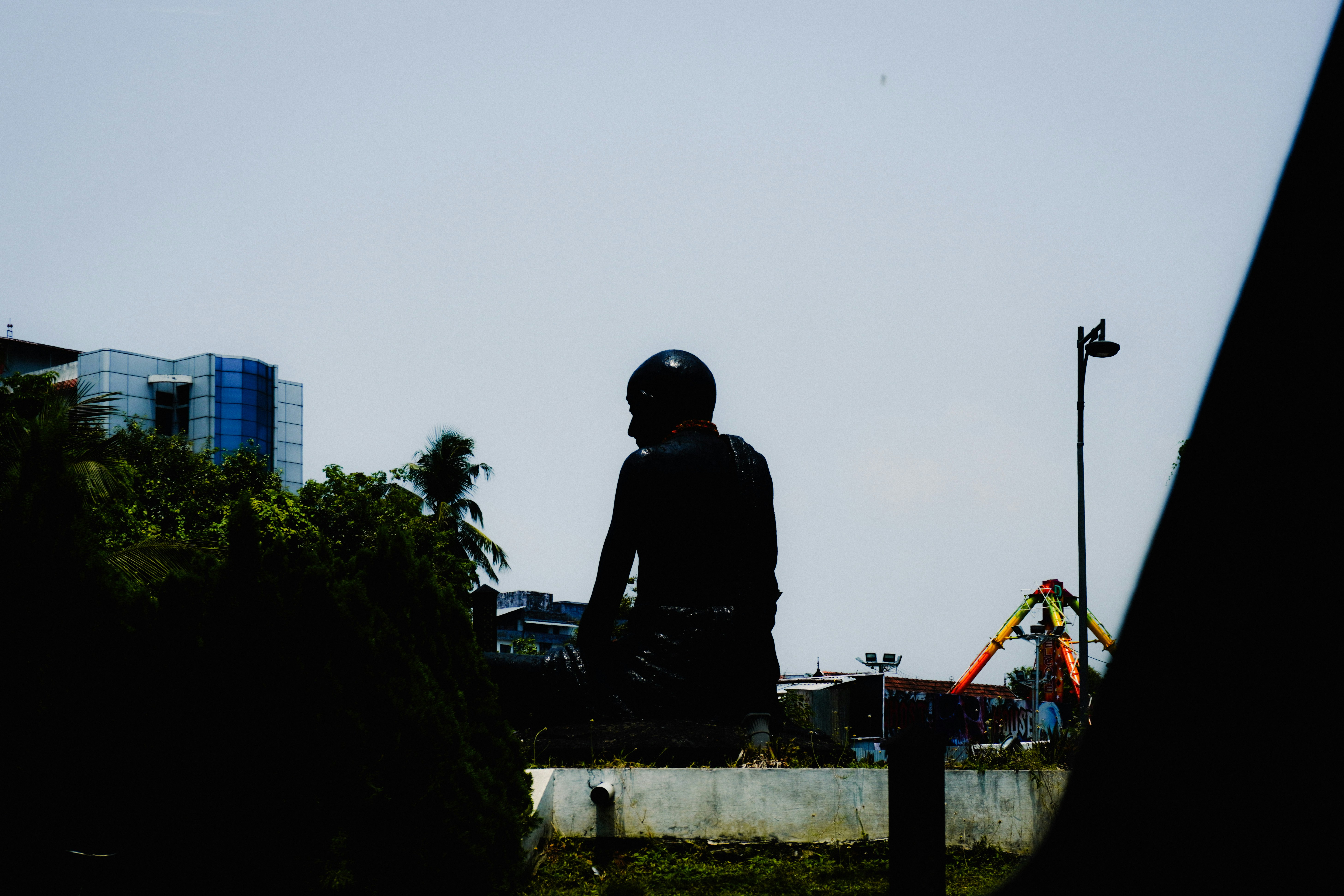 Silent Sentinel on the Rooftop Verge
