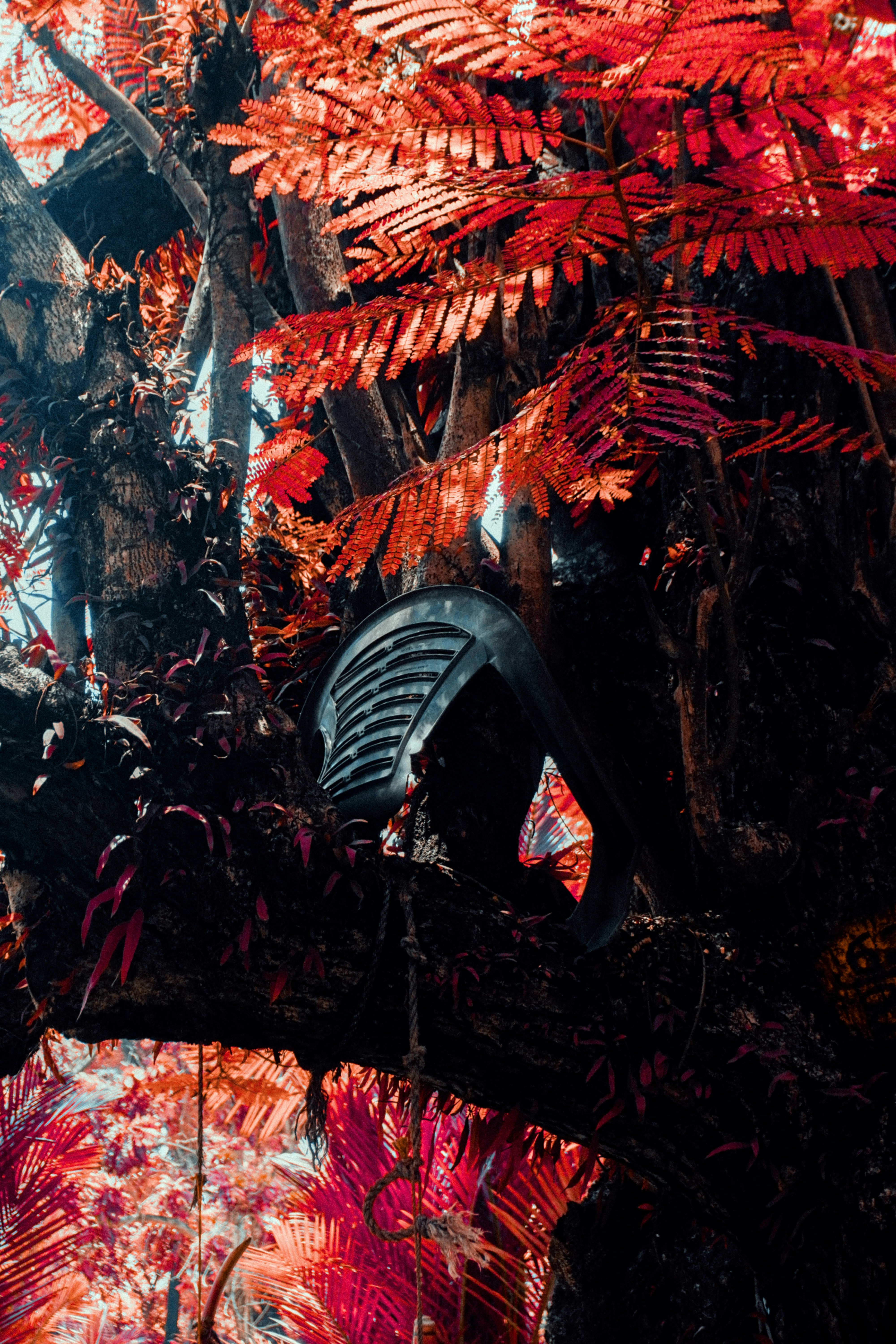 Red Fern Canopy: A Hidden Plastic Chair Emerges from the Jungle