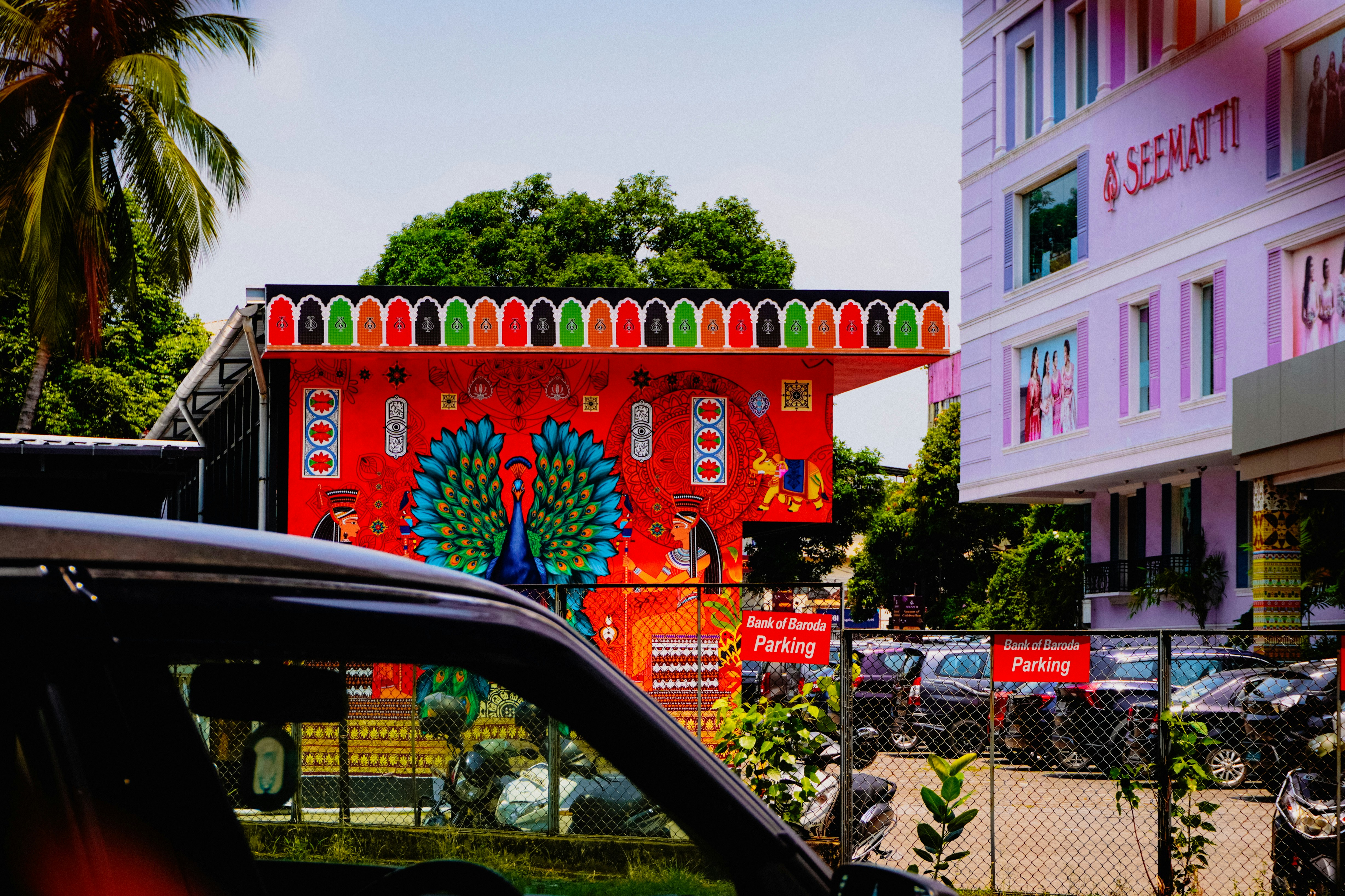 Peacock mural on a colorful building framed by parked cars