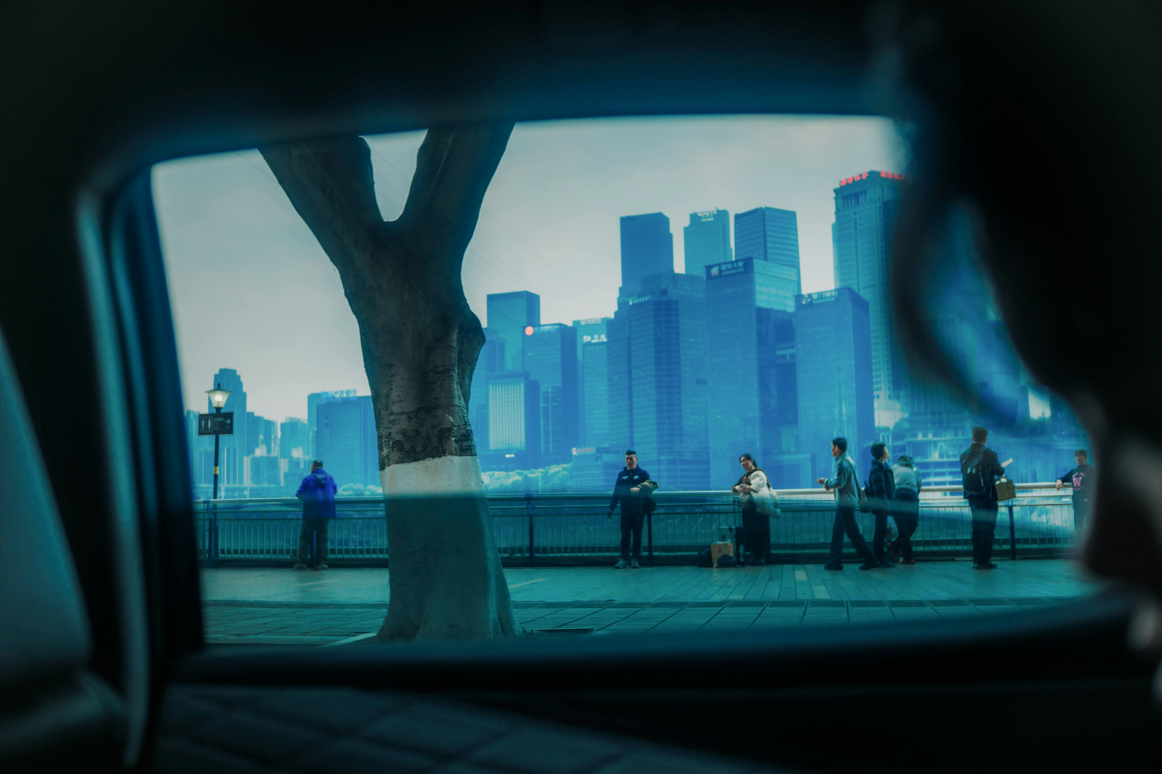 Cityscape Reflected in a Car Window: A Moment of Quiet Segue