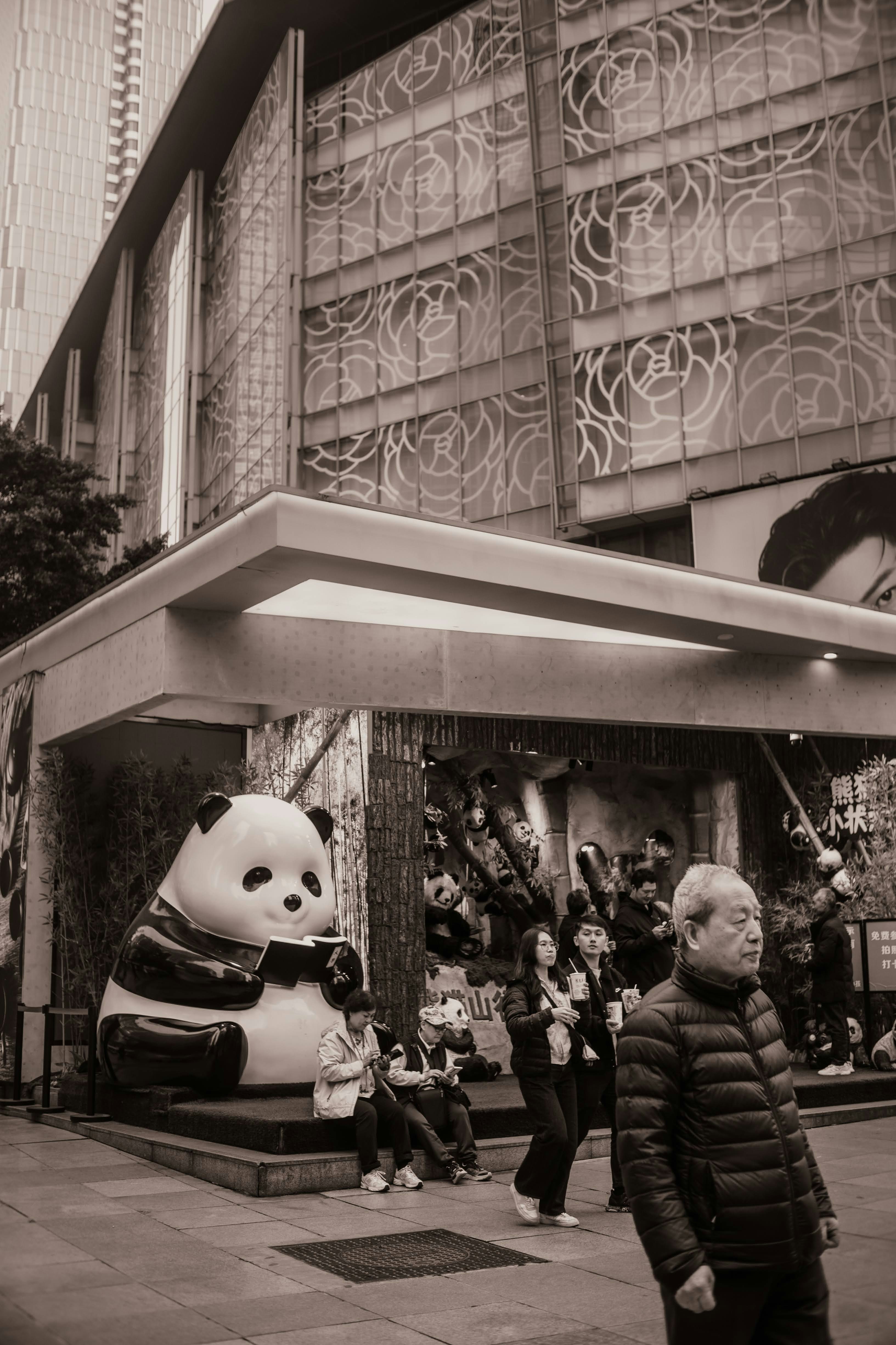 Panda Portrait at the Urban Threshold