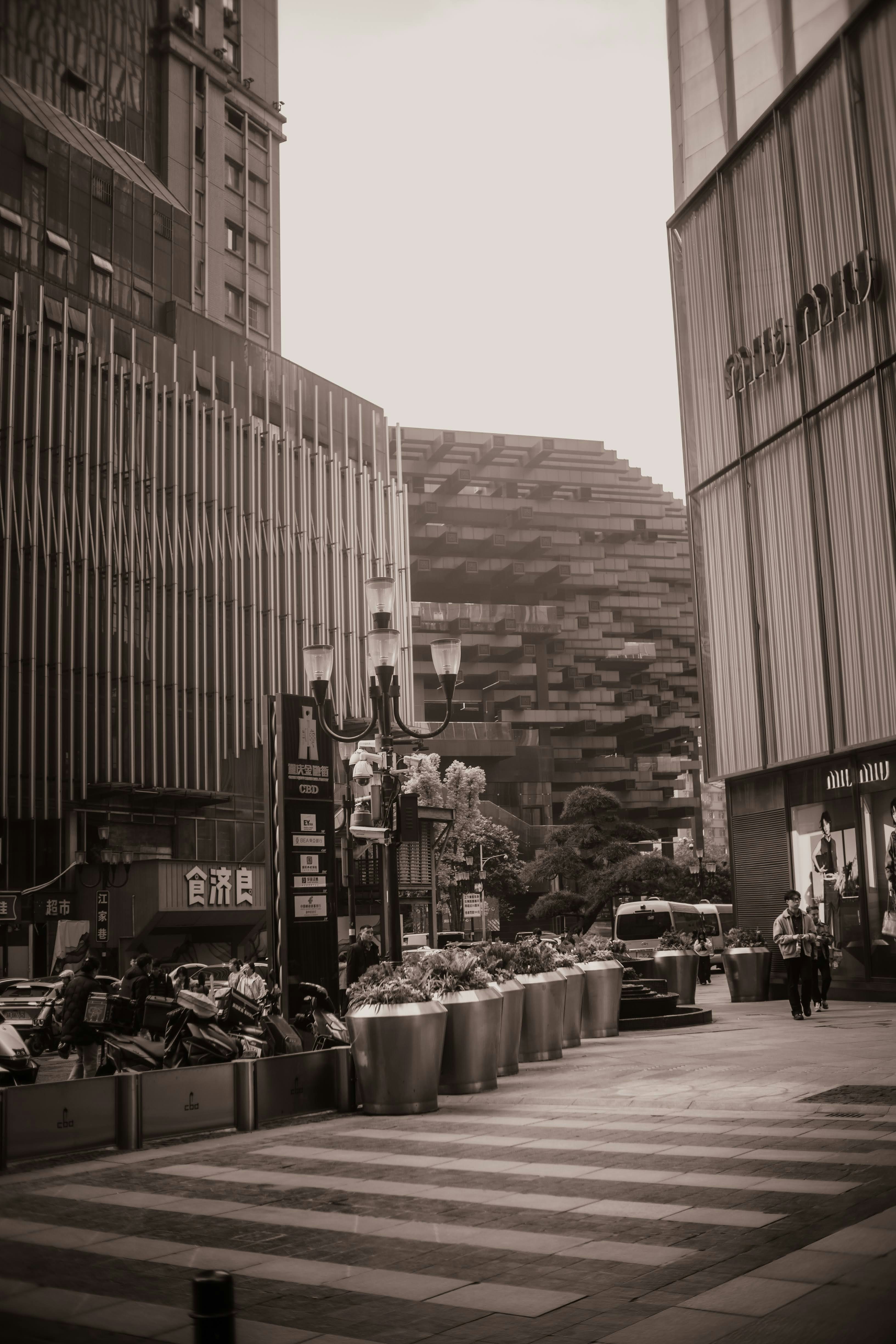 Monochrome Avenue: Urban Geometry Framed by Glass and Planters