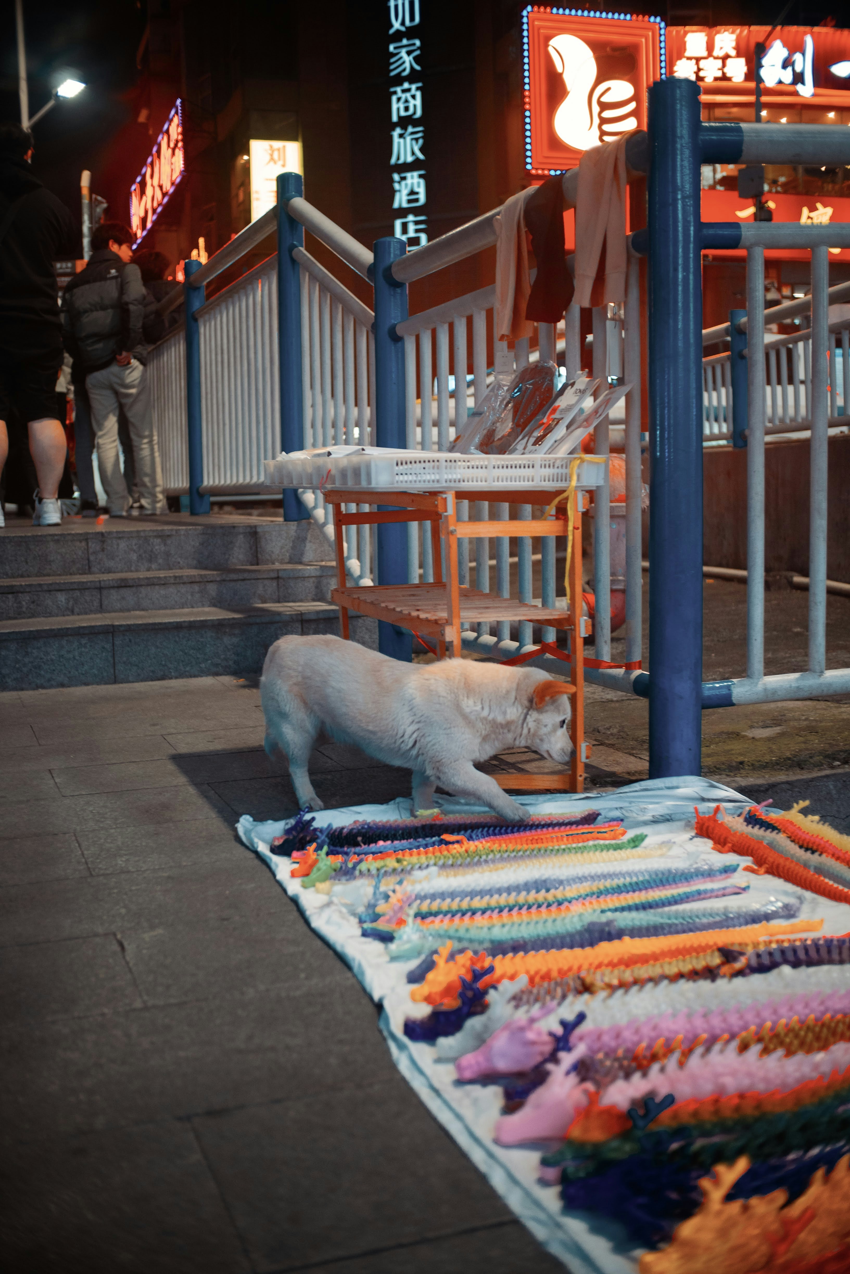 White Cat on a Night Market Stretch