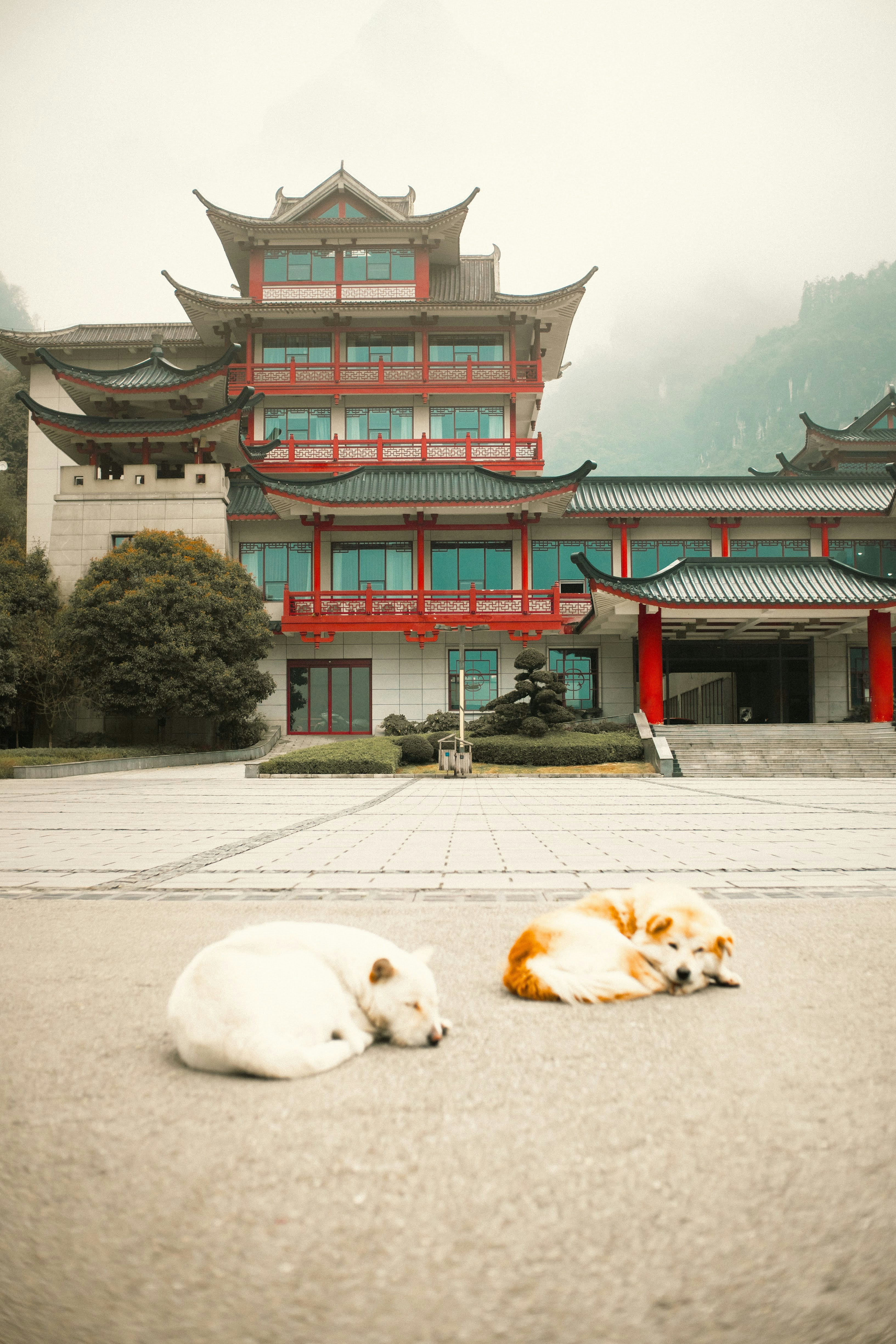 Dormant Guardians at the Temple Courtyard