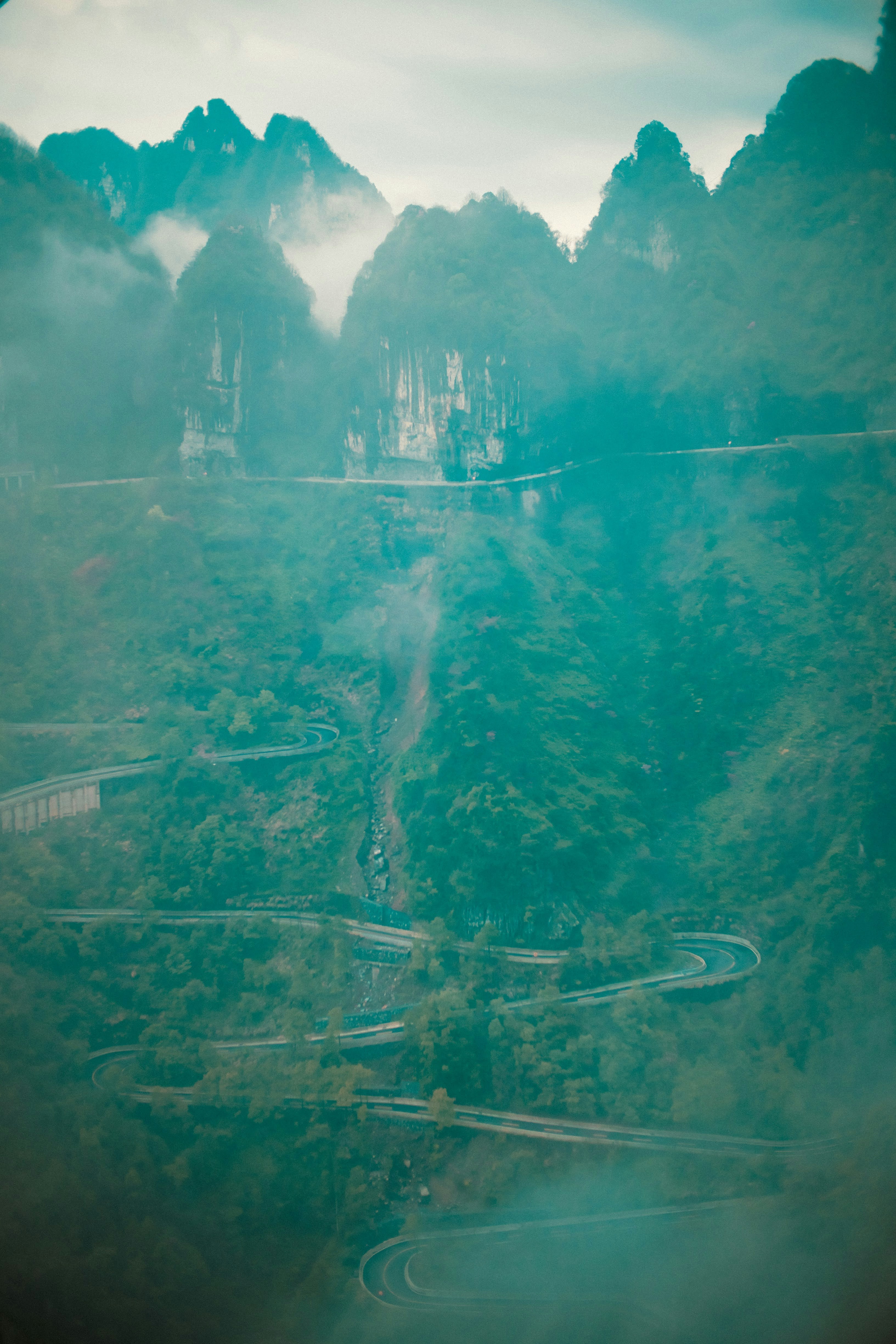 Mist-blanketed Spiral Road Through Terraced Pines