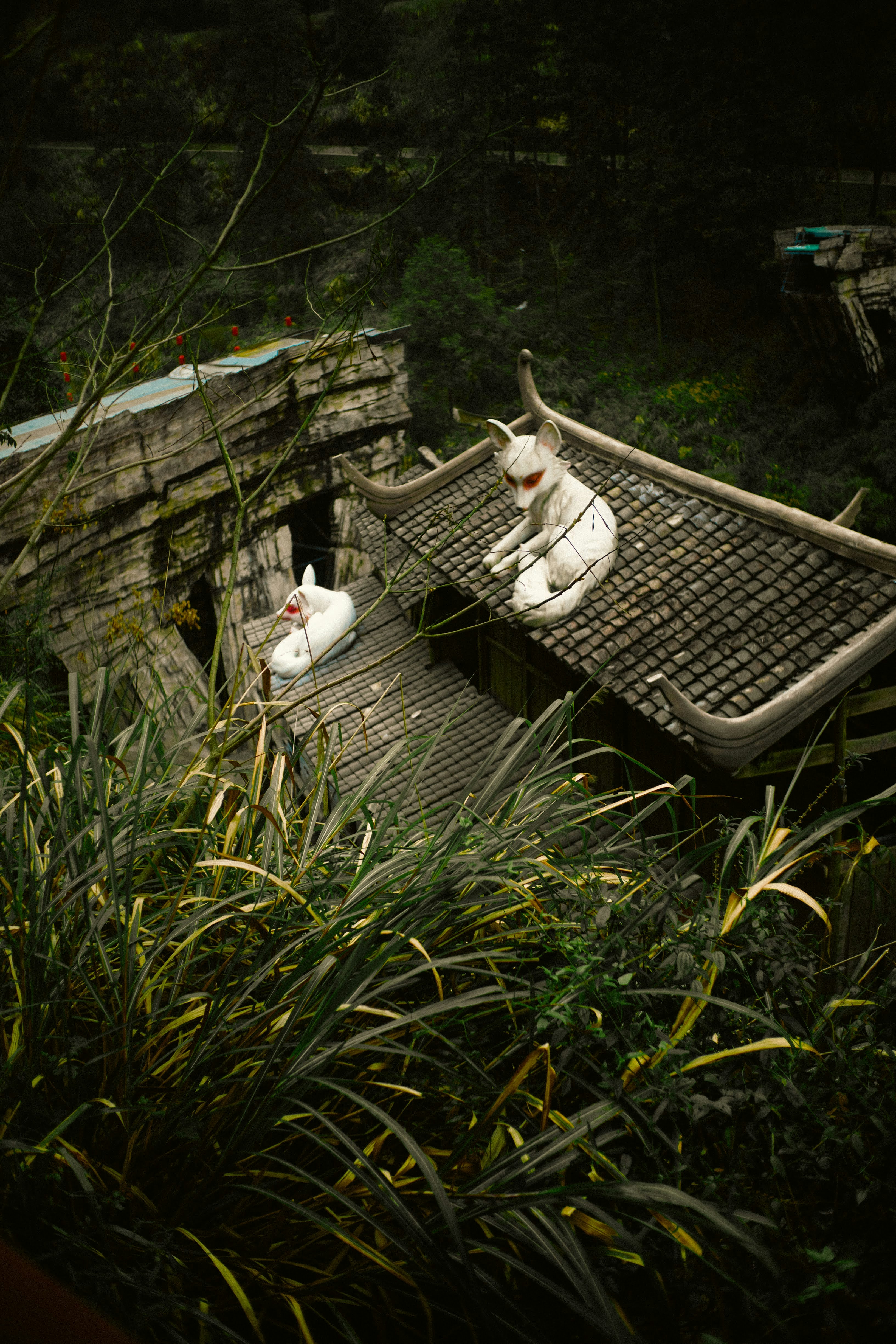 White feline on tiled rooftop among lush garden ledges