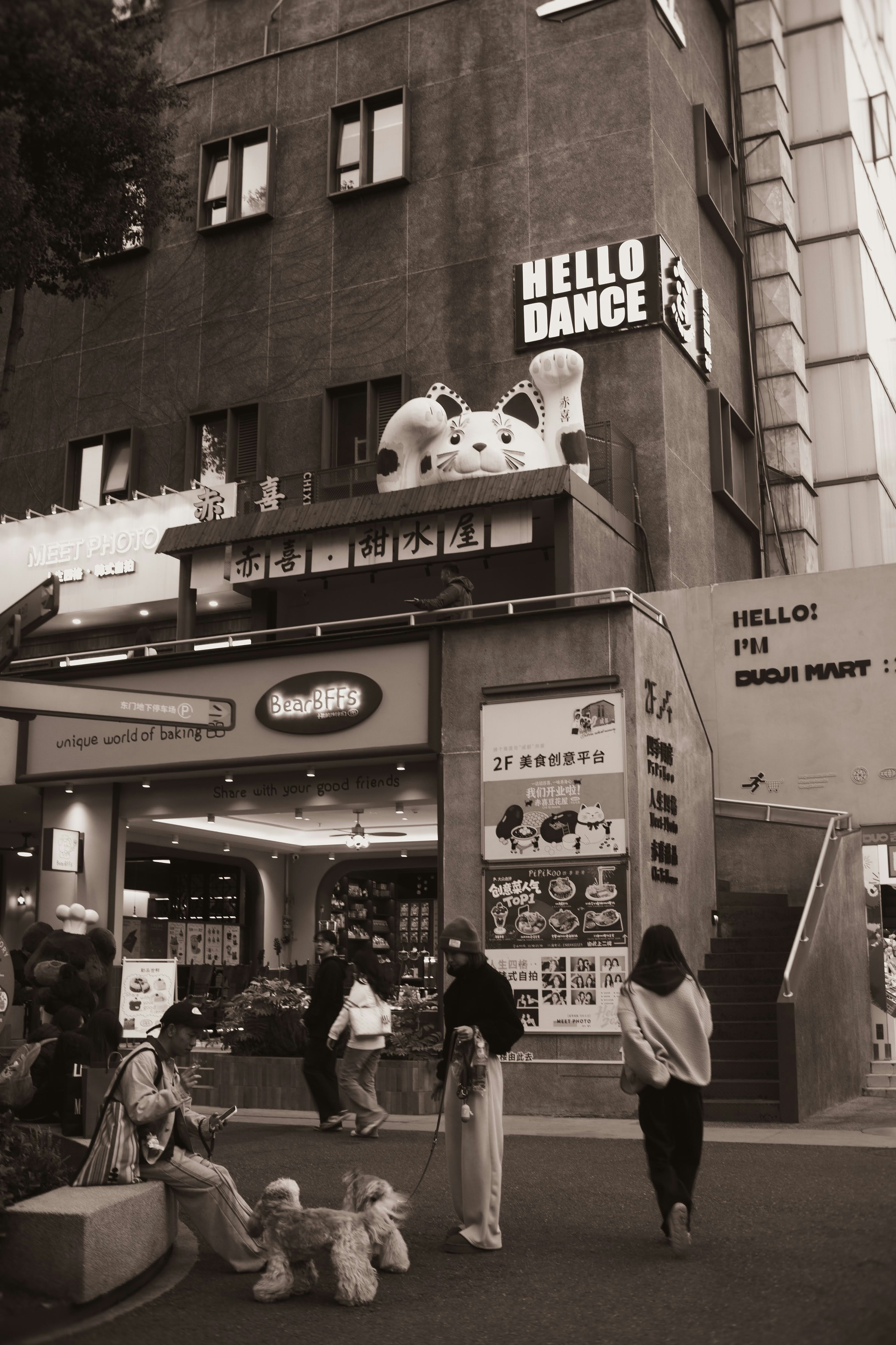 Beneath the Hello Dance Sign: Neon, People, and Pups in a Busy Asian Street