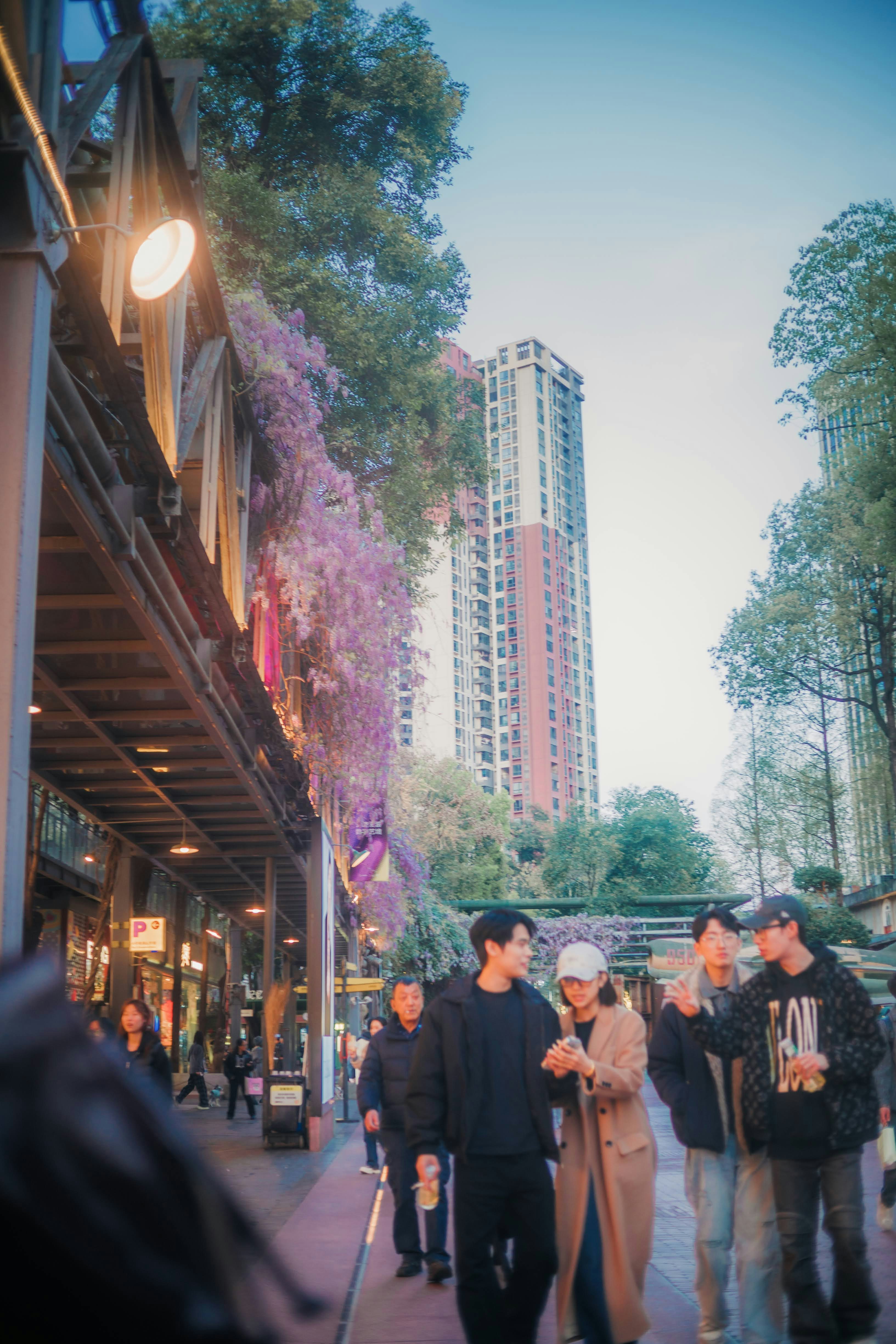 Spring Avenue: a pedestrian moment under flowering canopies