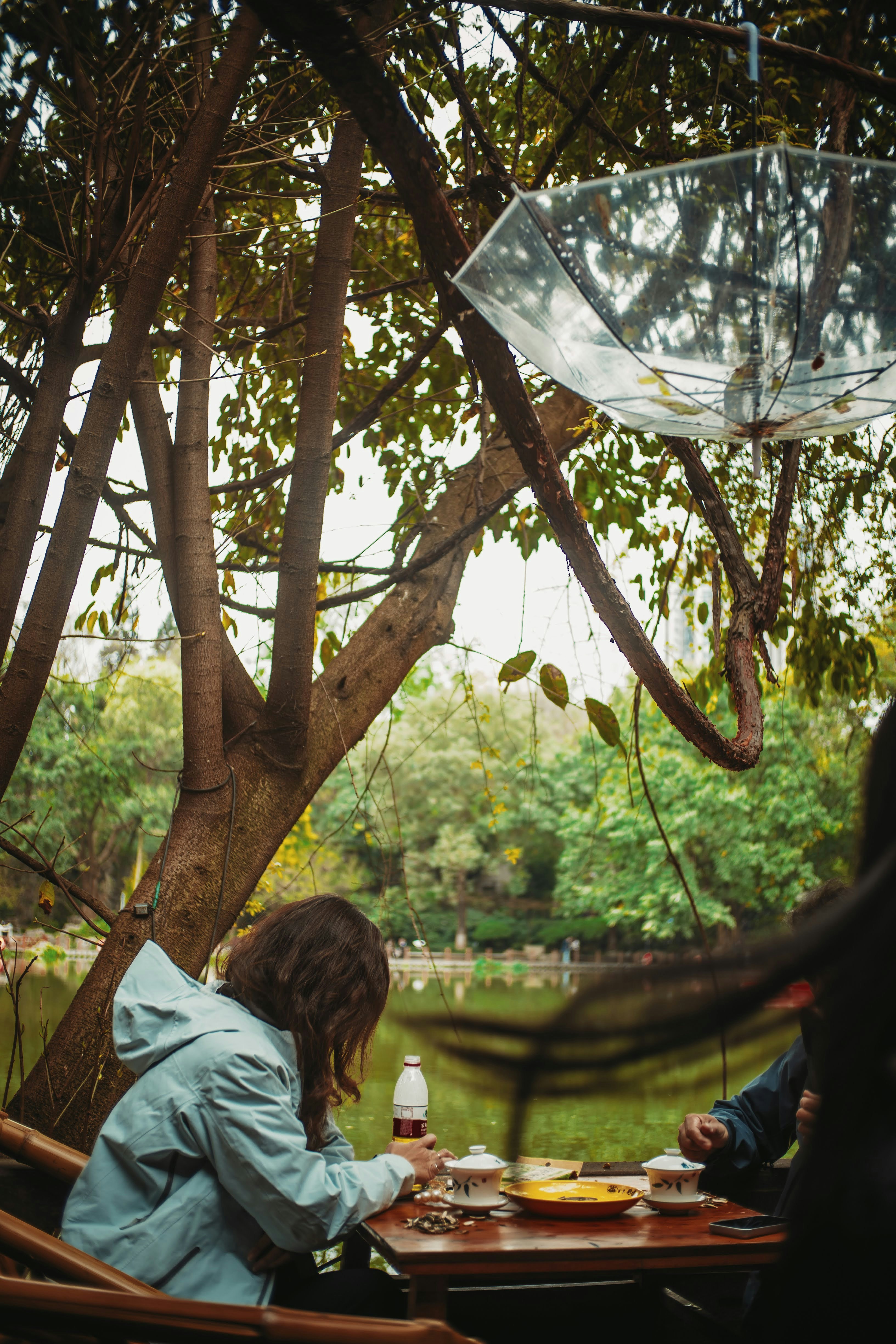 Warm gathering under a glass canopy by the lakeside