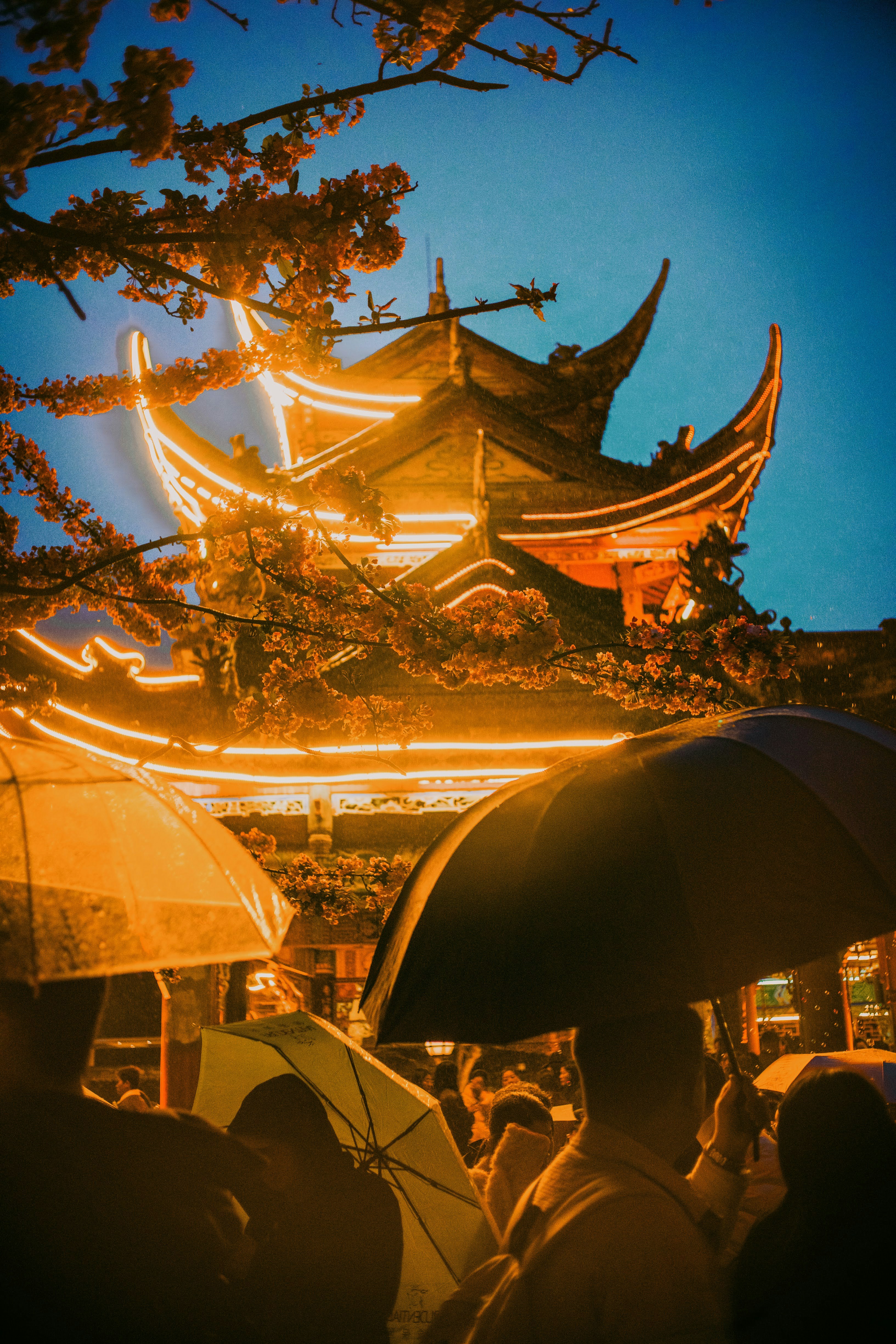 Temple Lanterns at Night: People and Parasol Silhouettes under Glowing Eaves