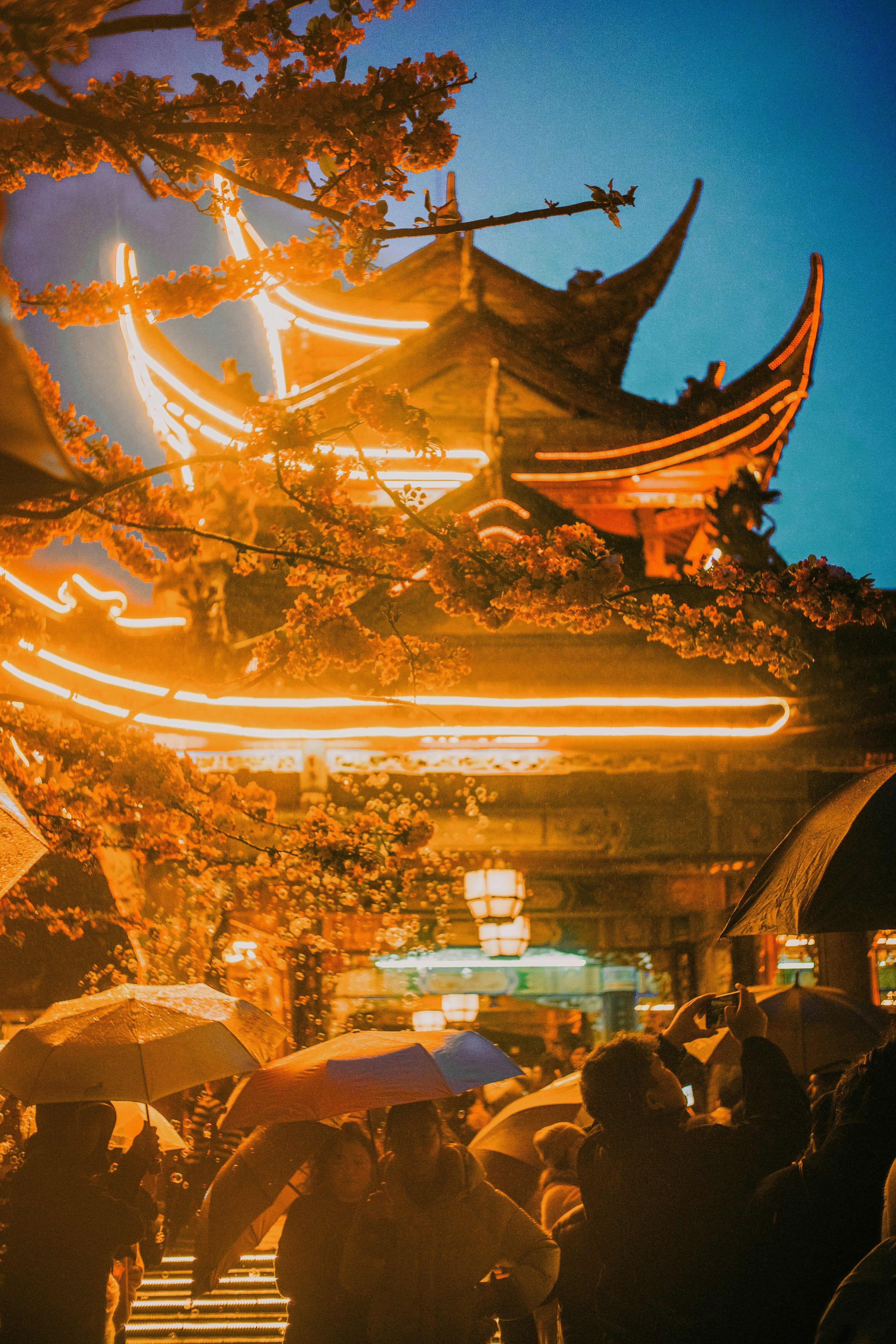 Neon Temple Nights: Lanterns and Cherry Blossoms Under Neon Ramen Glow