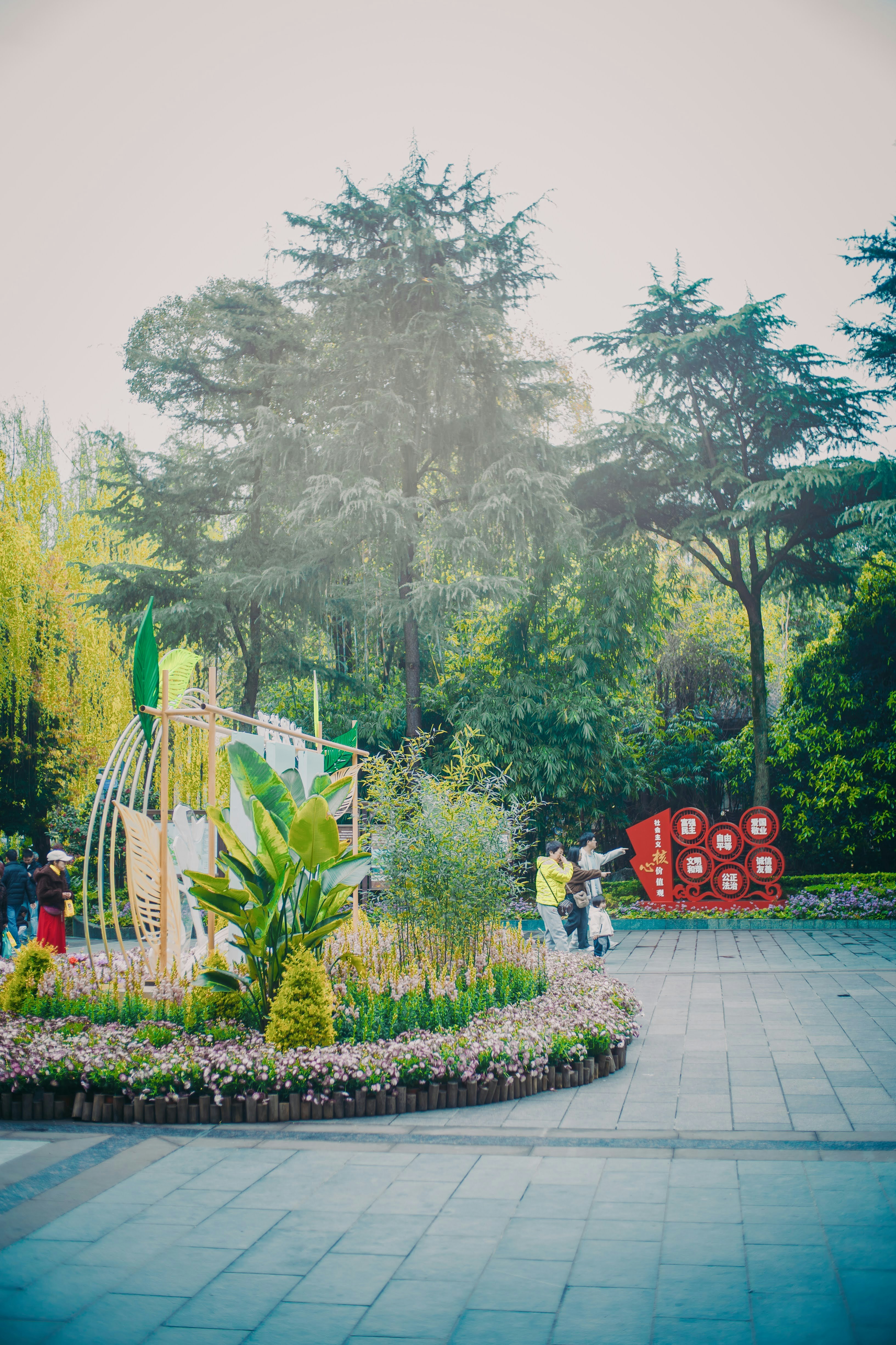 Sunlit Garden Circle: A Quiet Moment Among Sculpted Foliage