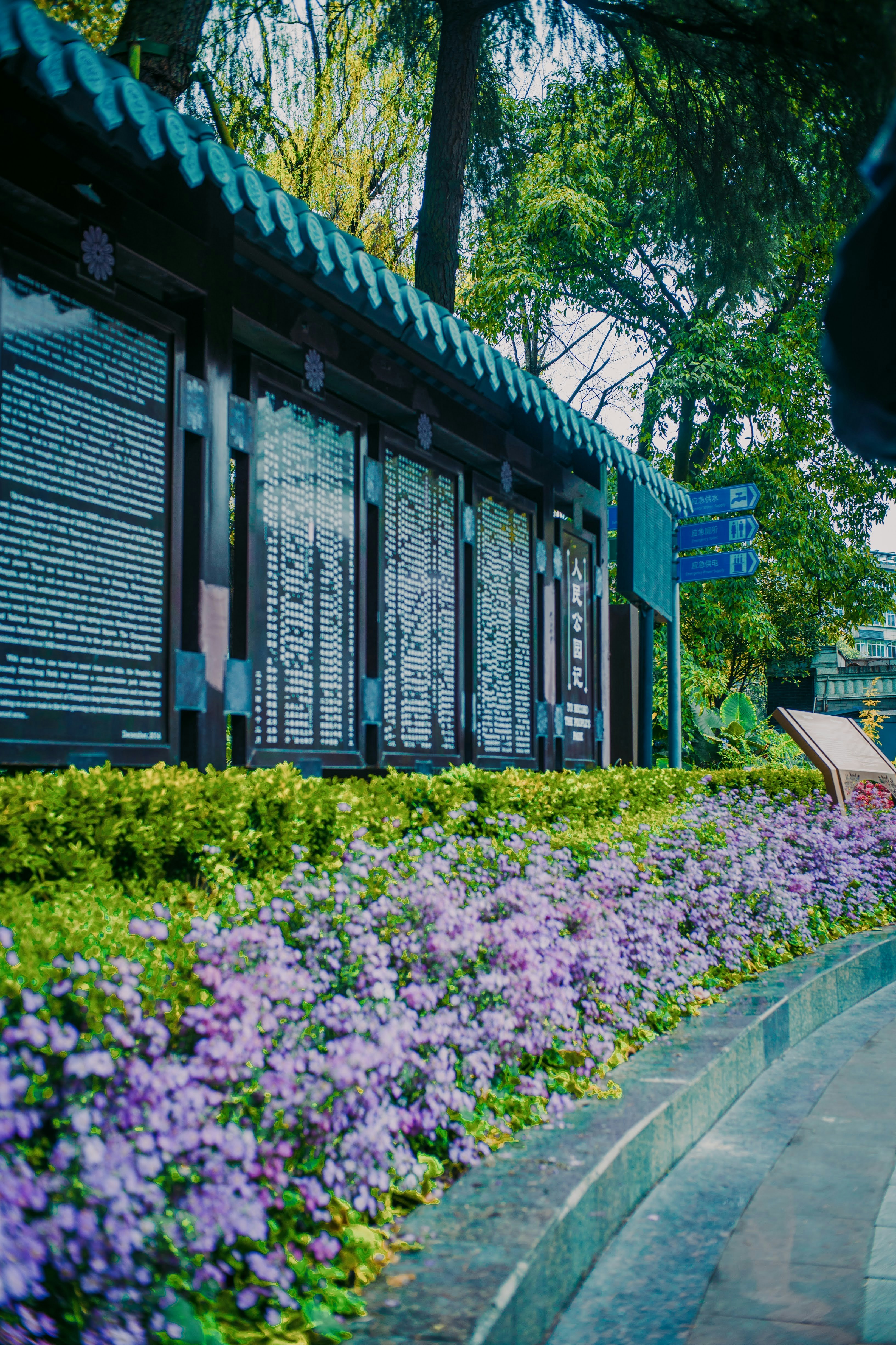 Greenwall Walkway: Purple Blooms and Informational Panels