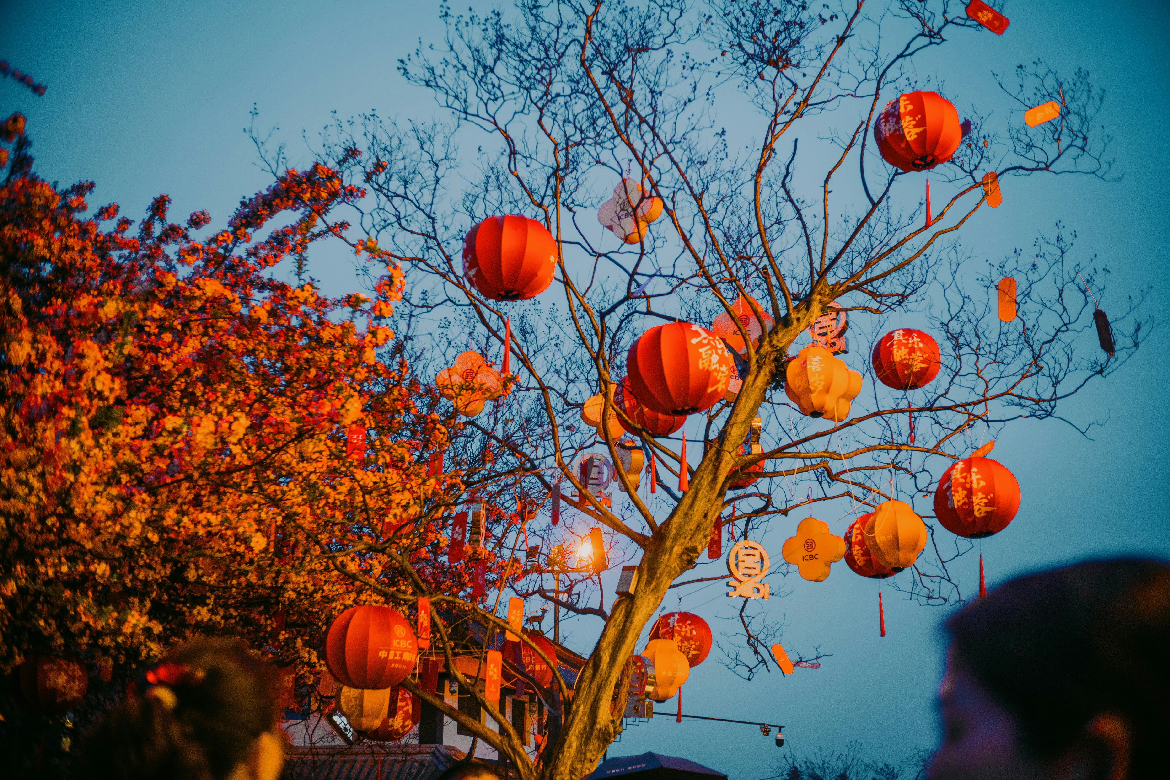 Floating Lanterns Above a Twilight Festival Tree