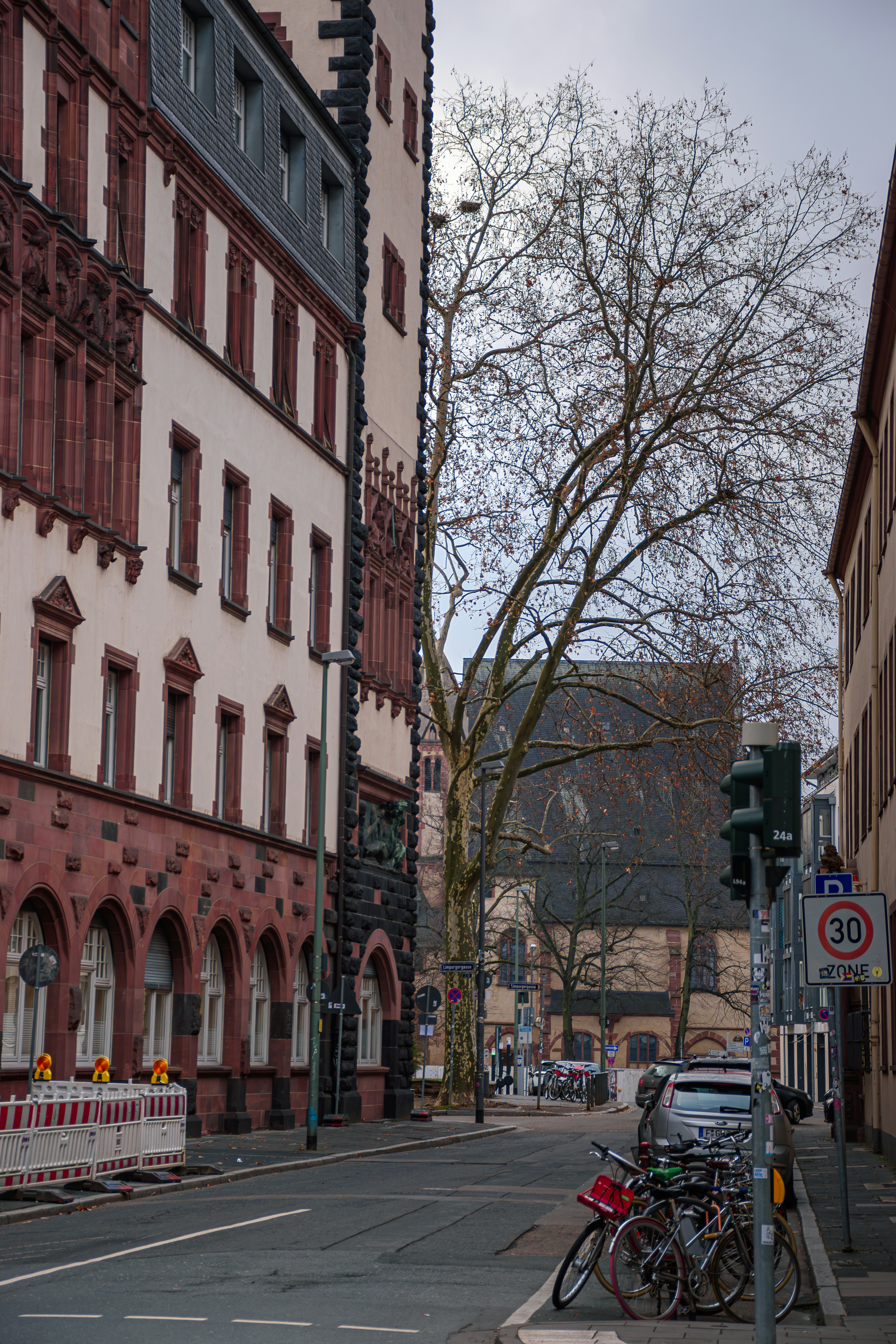 Urban Verge: Trees, Bikes, and Brick Facades Verge the Street