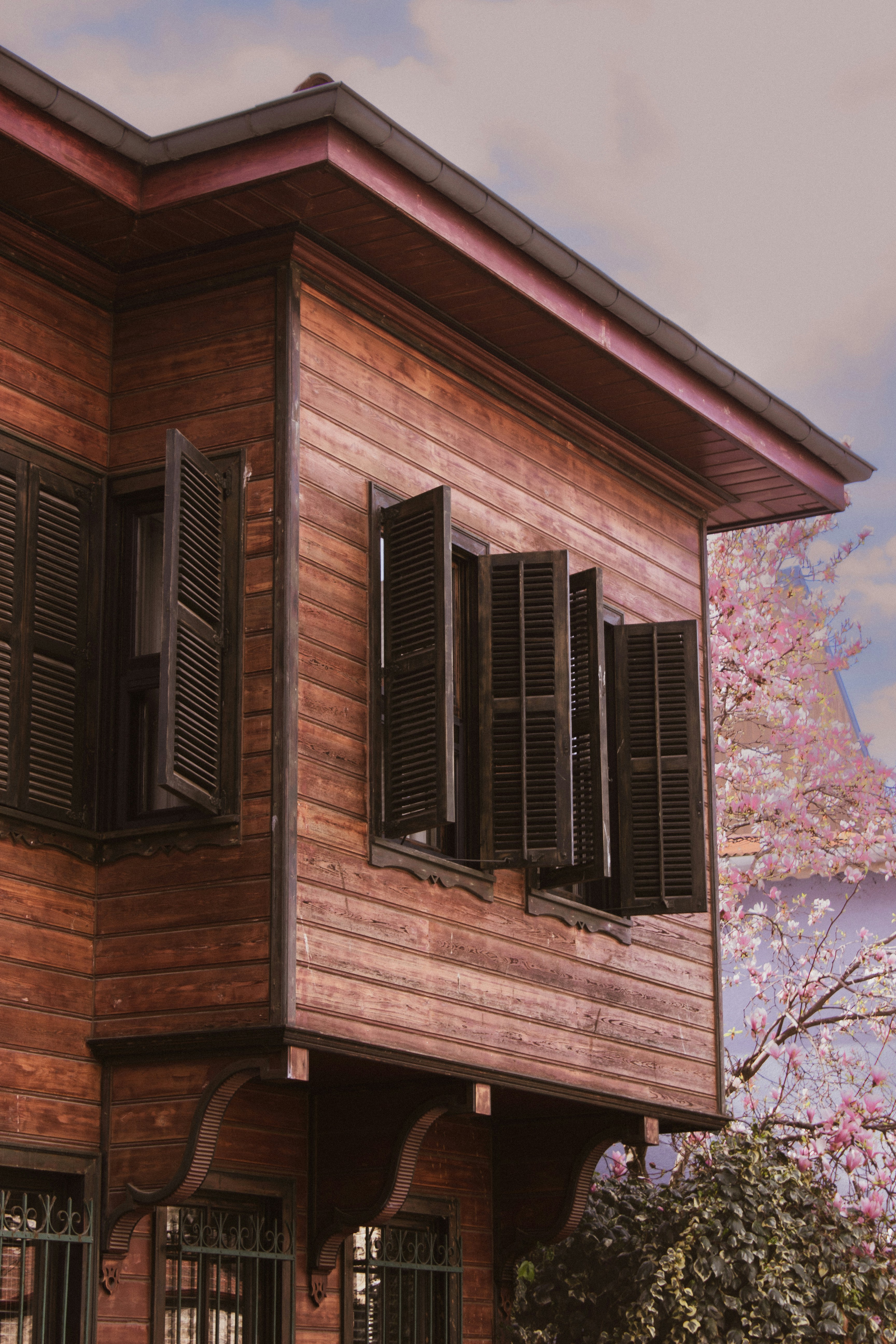 Sunlit Shuttered Cottage Side with Cherry Bloom