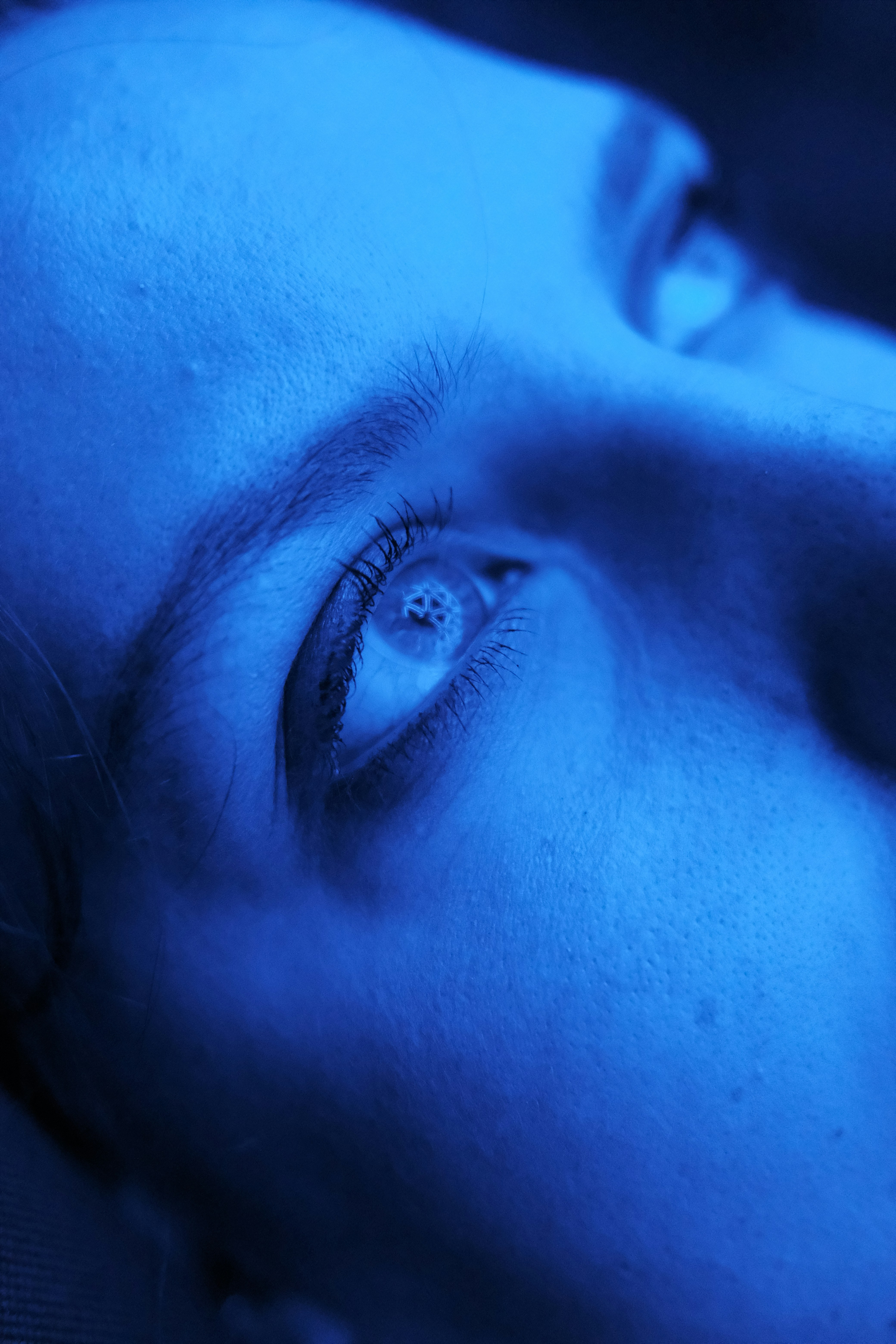 Blue-hour Gaze: A Close-Up of Contained Curiosity