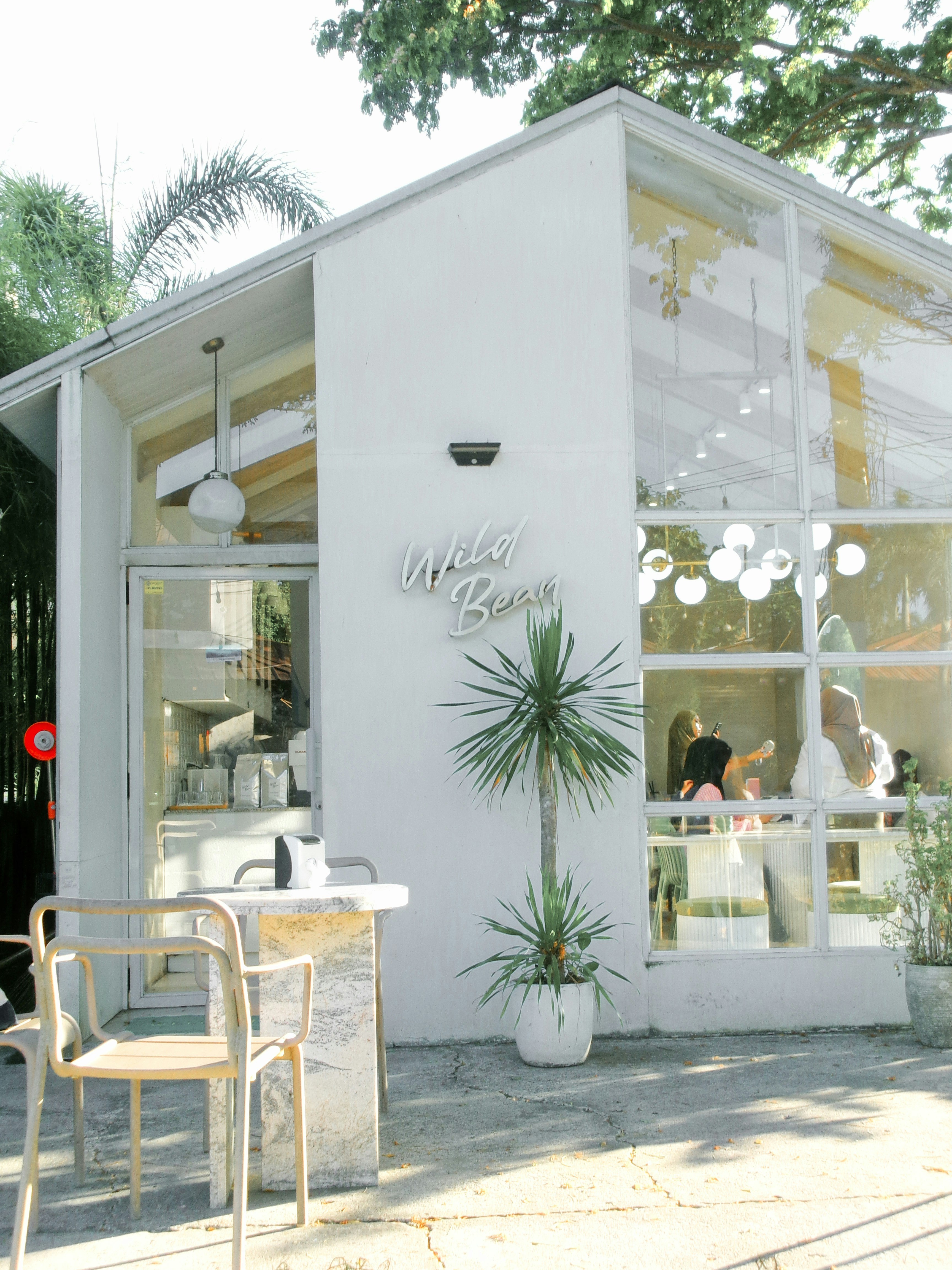 Wild Beans Café: Neon Script and Glasshouse Glow