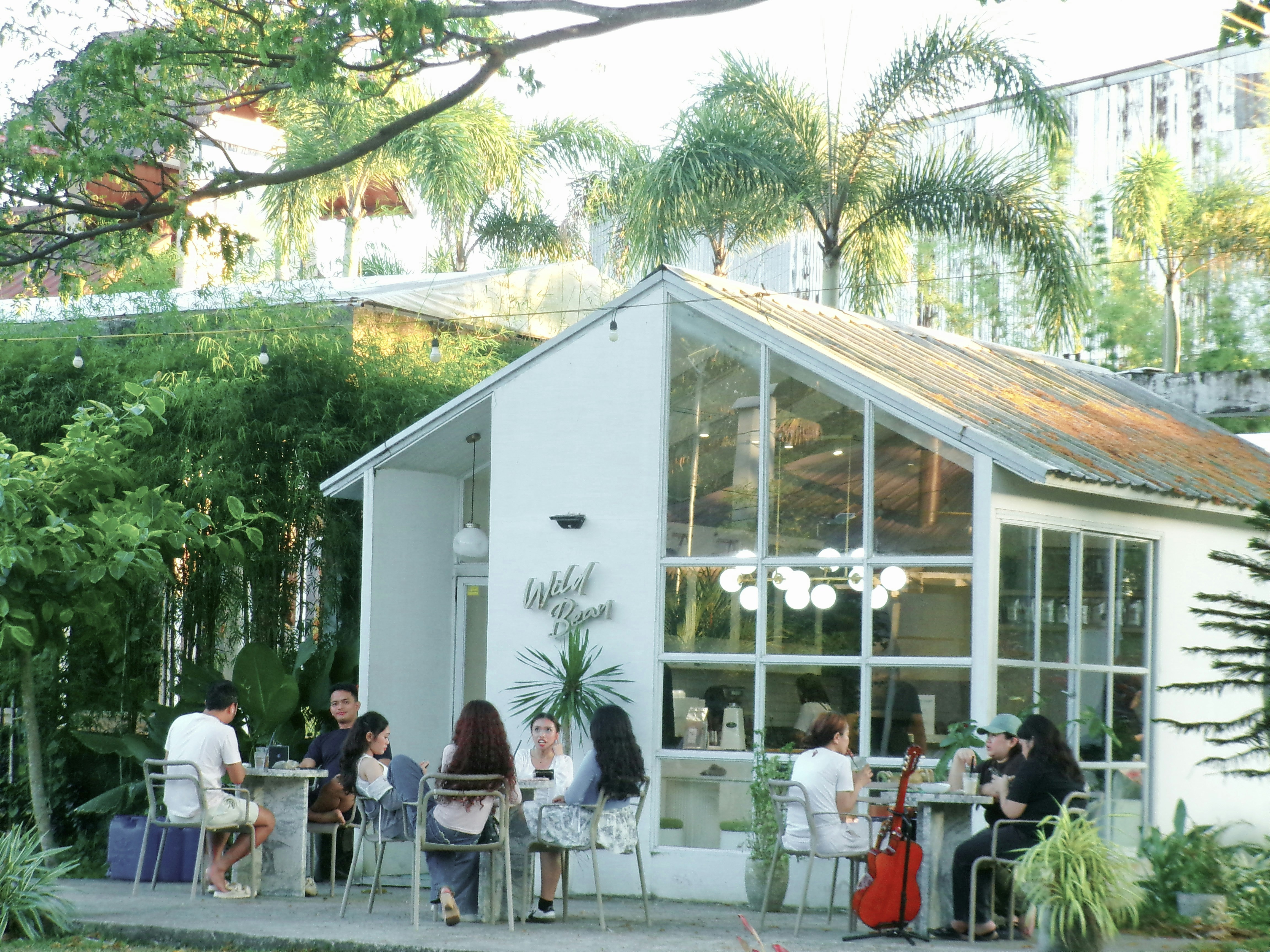 Café Glasshouse Illuminated: Social Bokeh Under a Palm Canopy