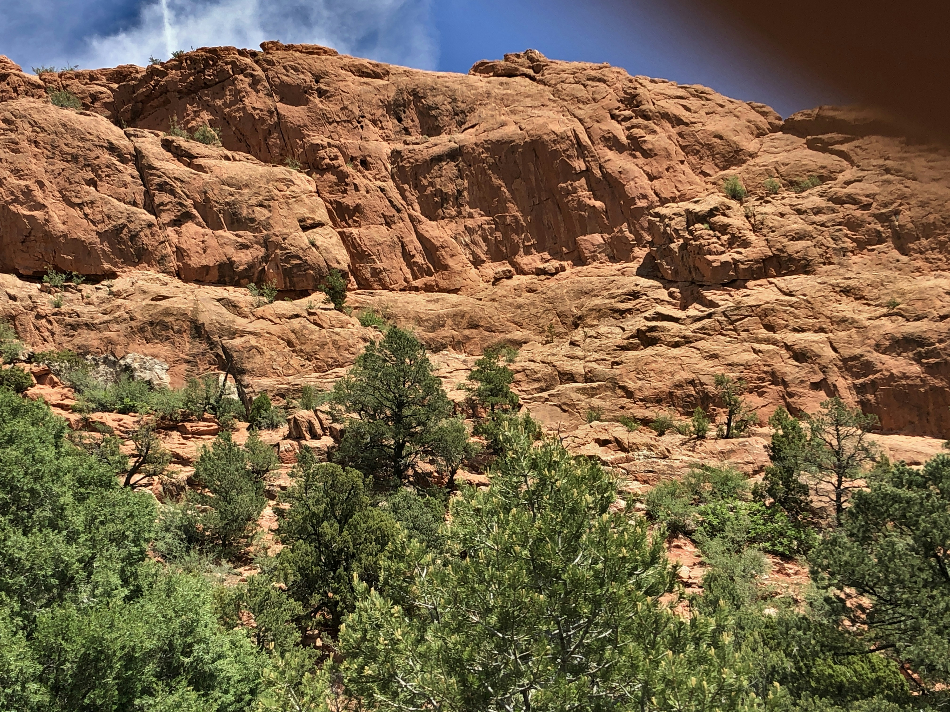 Desert Boulders and Green Pines under a Low Blue Sky
