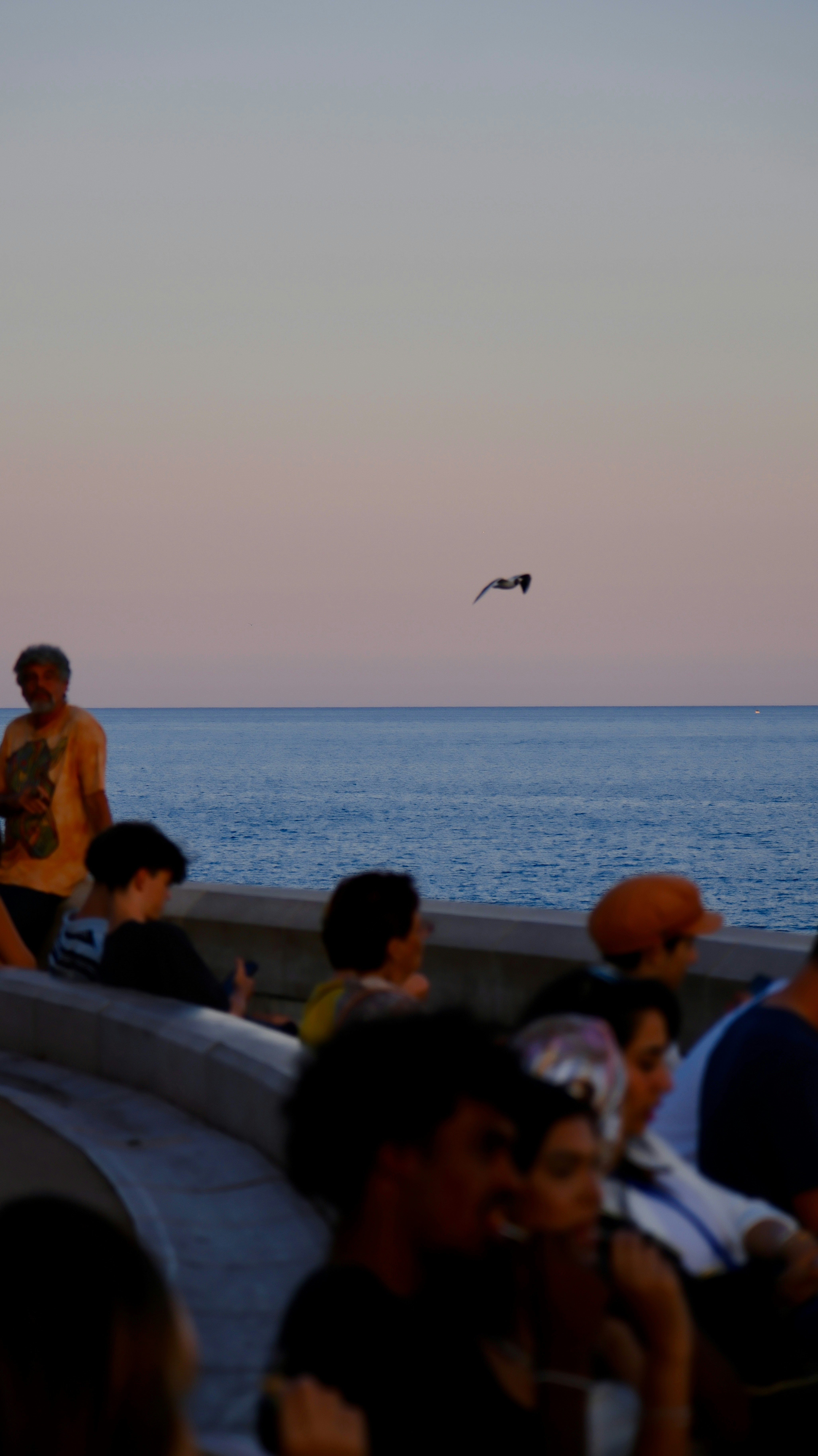 Sea Serenade Over a Curved Promenade