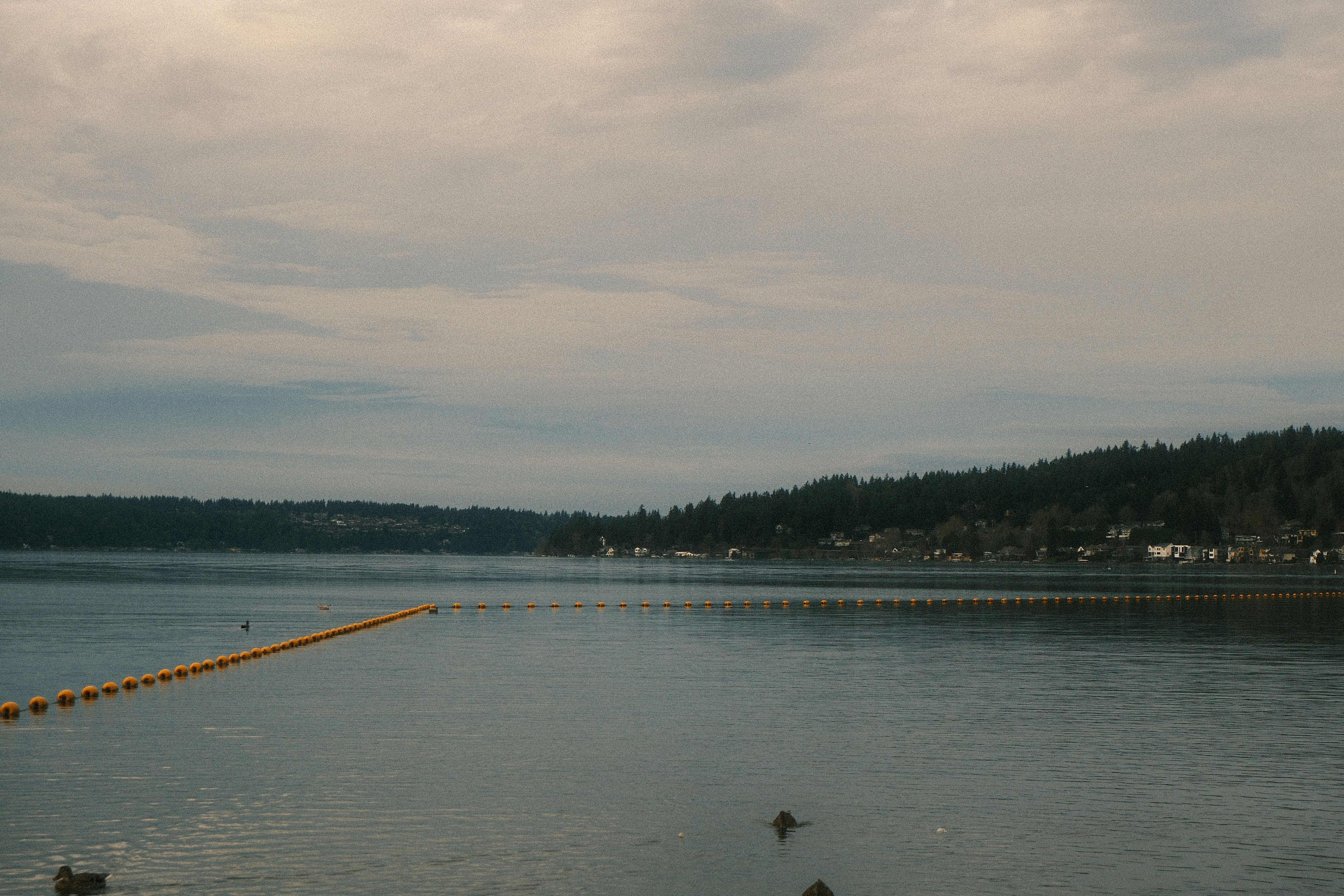 Line of Buoys Across a Tranquil Lake at Dusk
