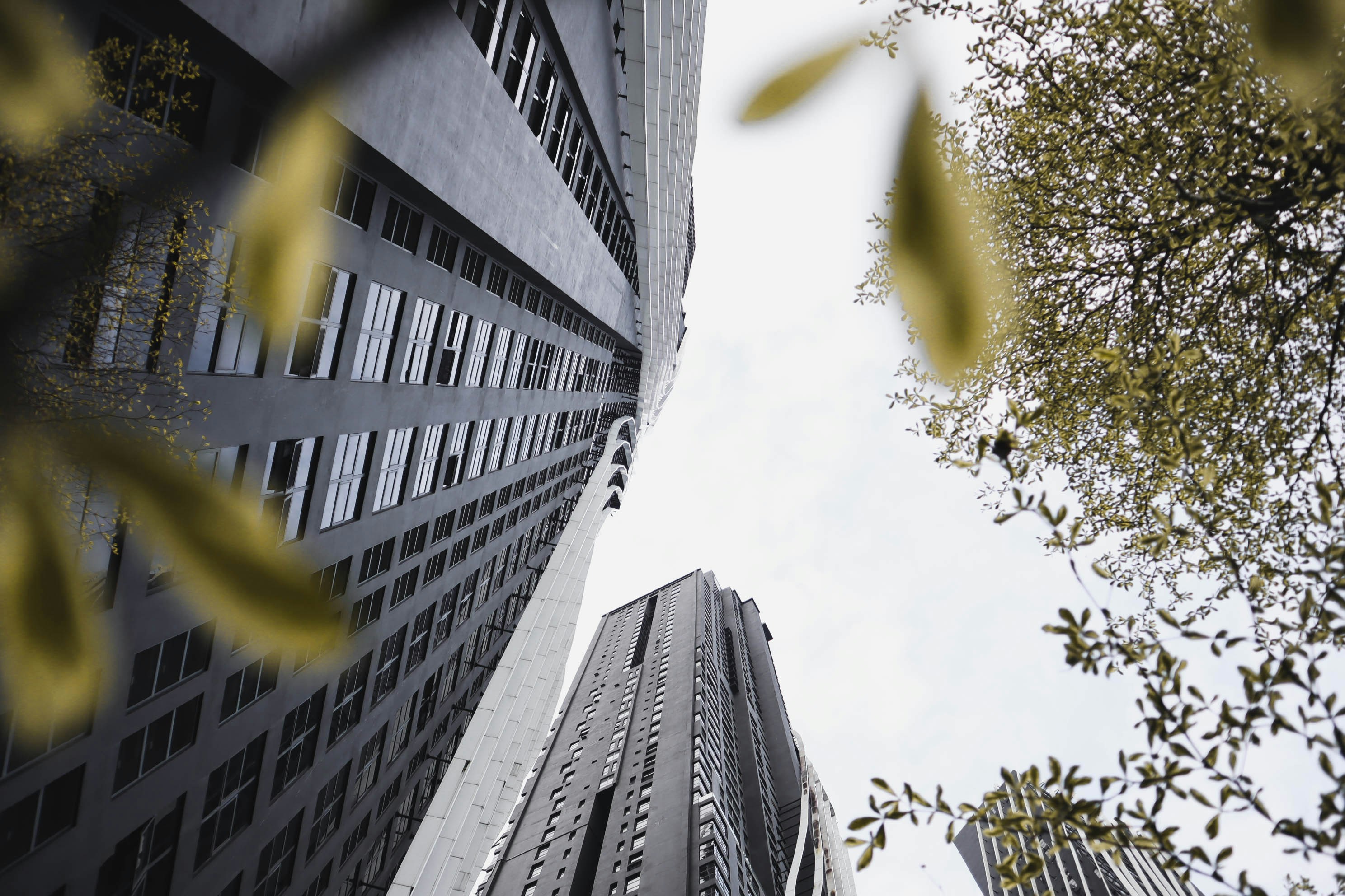 Upward Gaze: Concrete Giants Reaching Toward the Sky