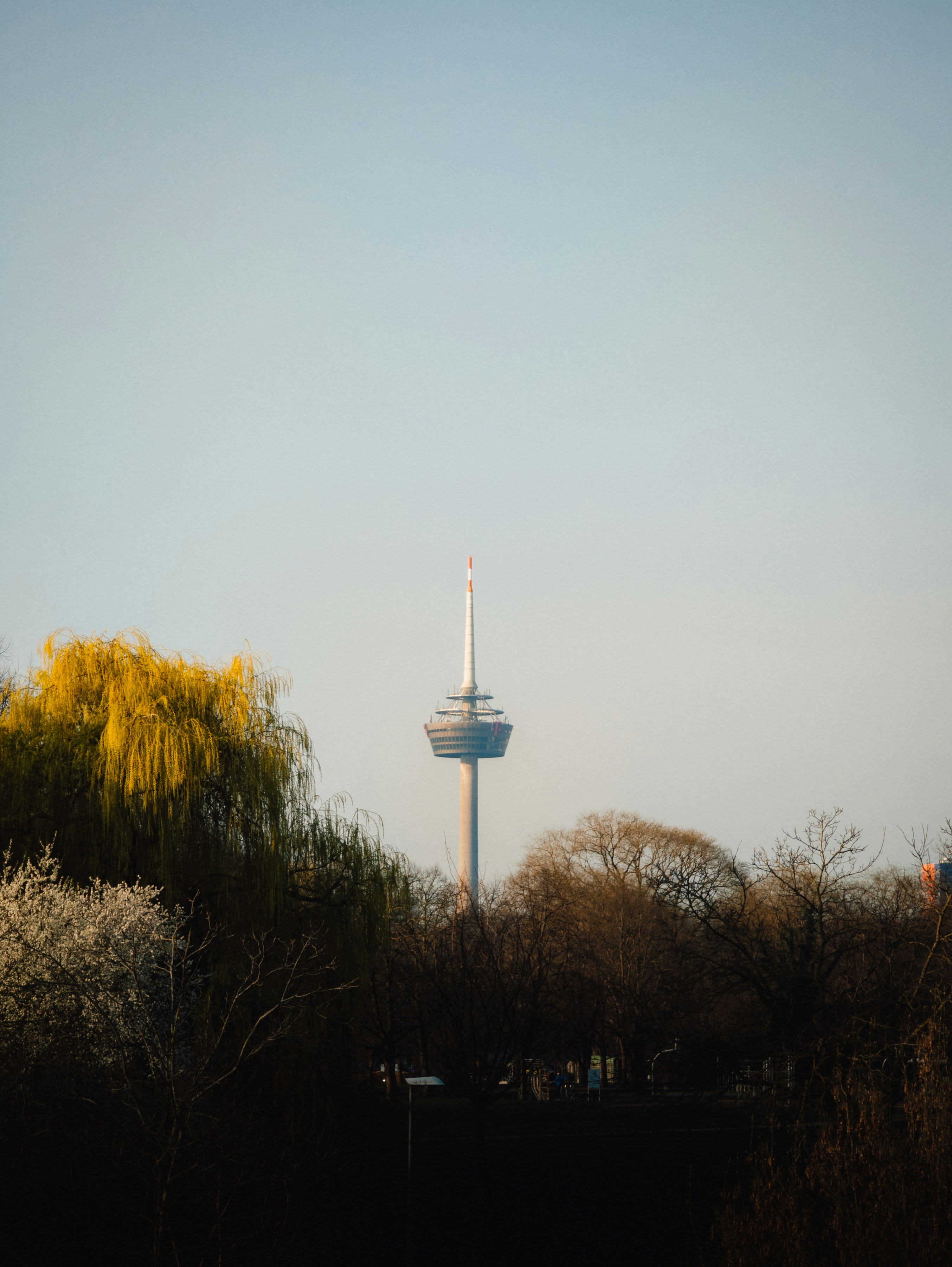 Spire Over the Willows: A Calm Tower Rising Beyond Winter Trees