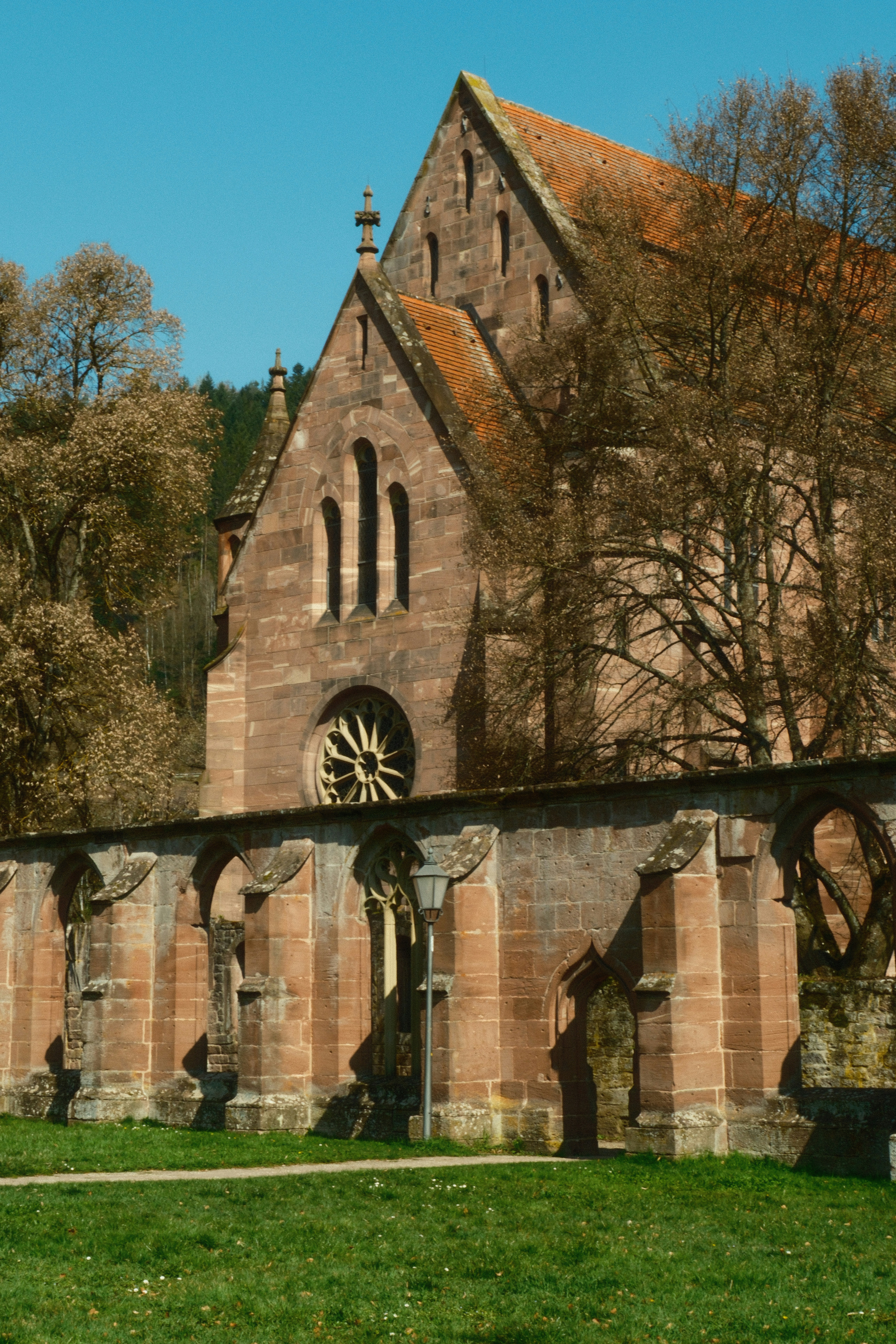 Sunlit Abbey Walls: A Carved Gable and Circular Window Framed by Spring Trees