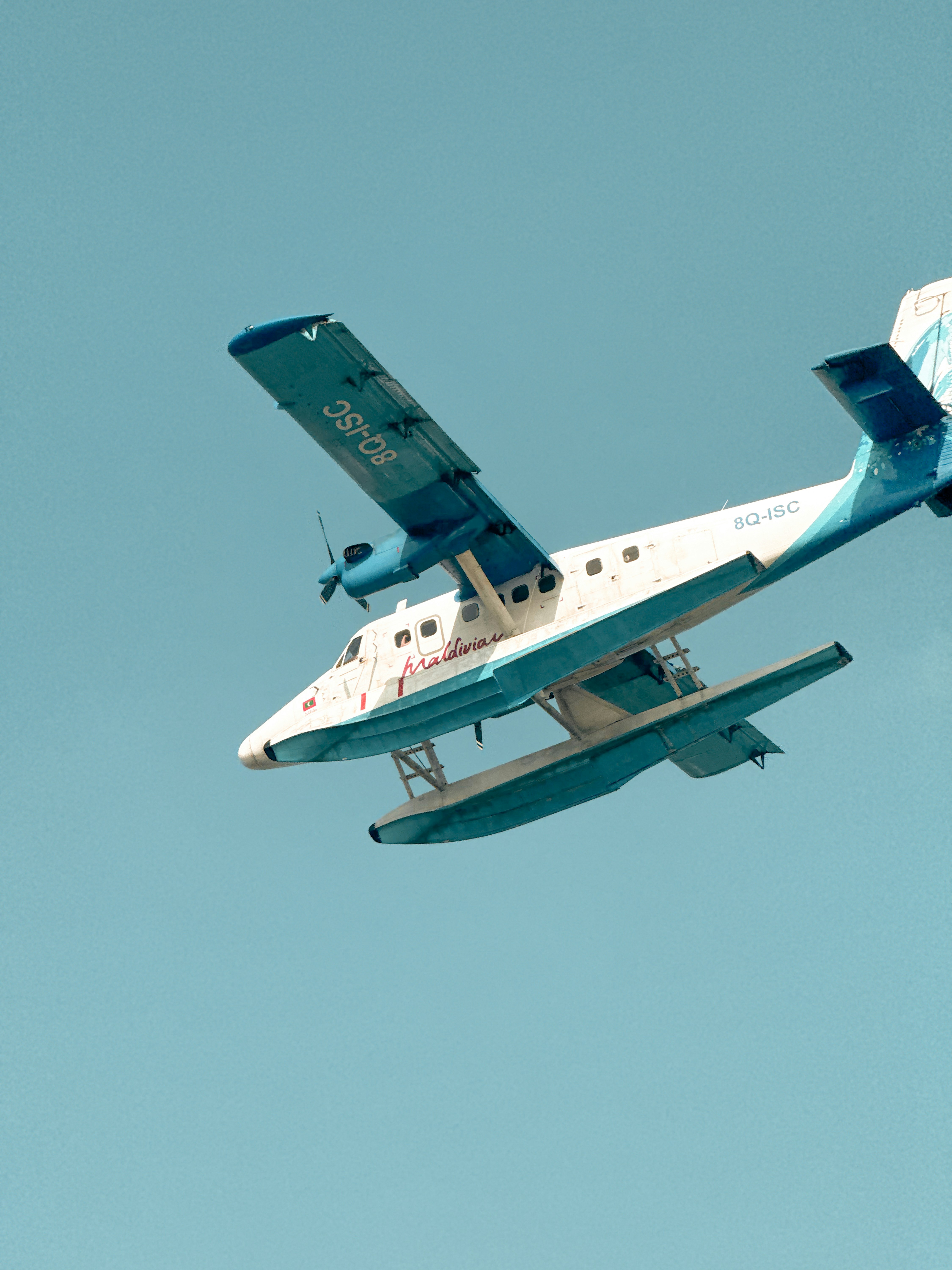 White-and-Blue Seaplane in Clear Sky Over Water
