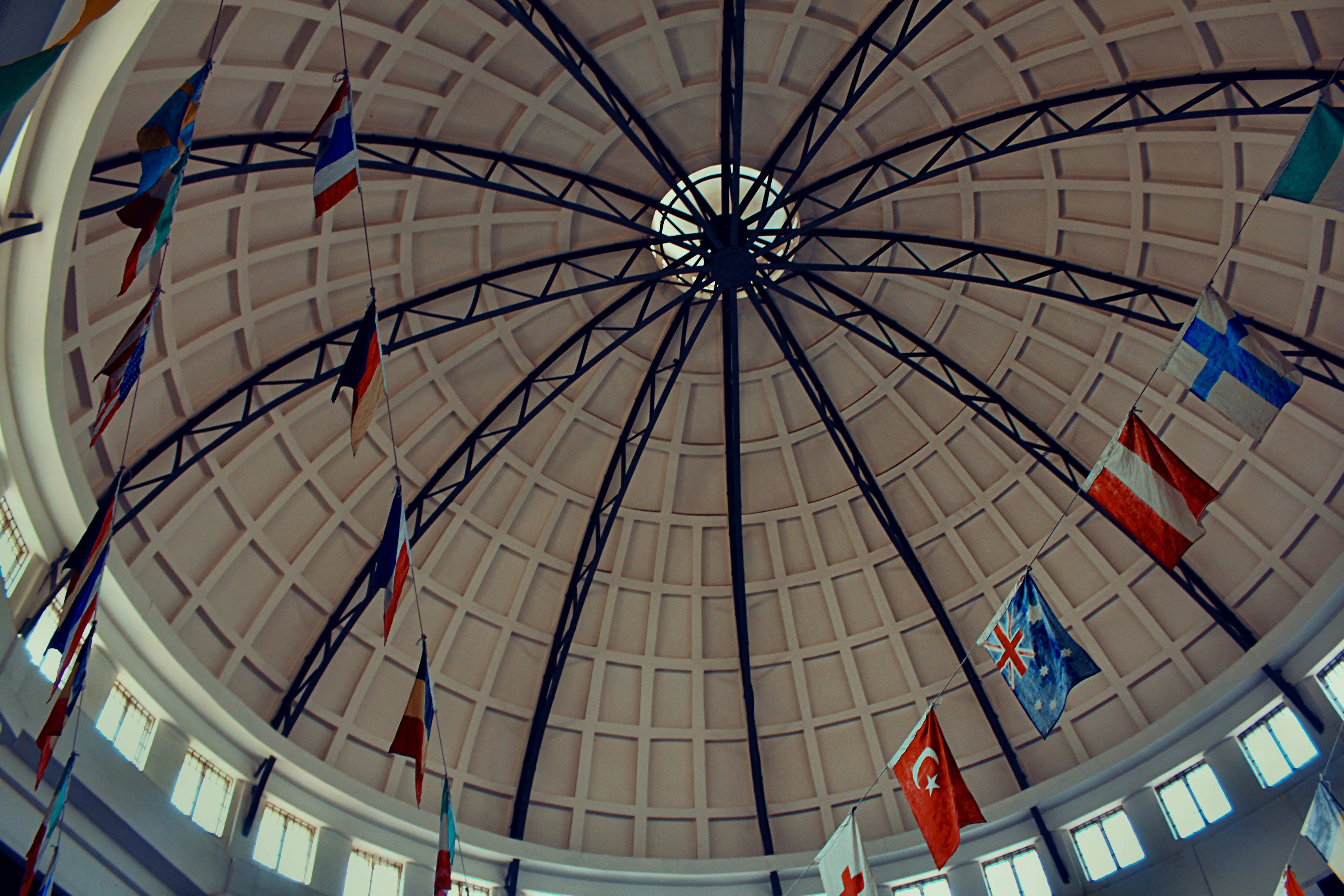 Flags in a Radiant Dome: A Global Emblem Ceiling