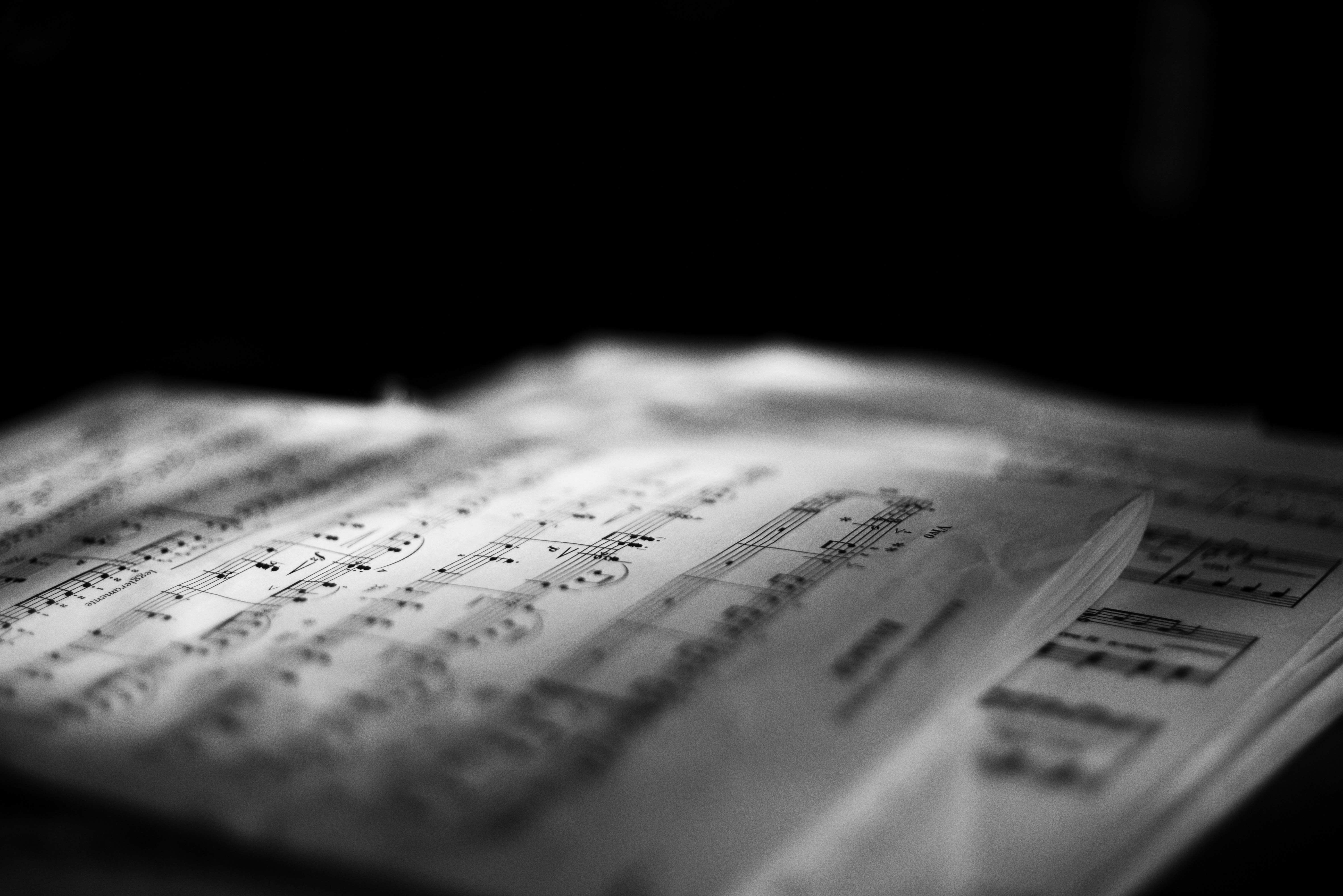 Whispered Lines: A Quiet Fold of Newsprint in Black and White