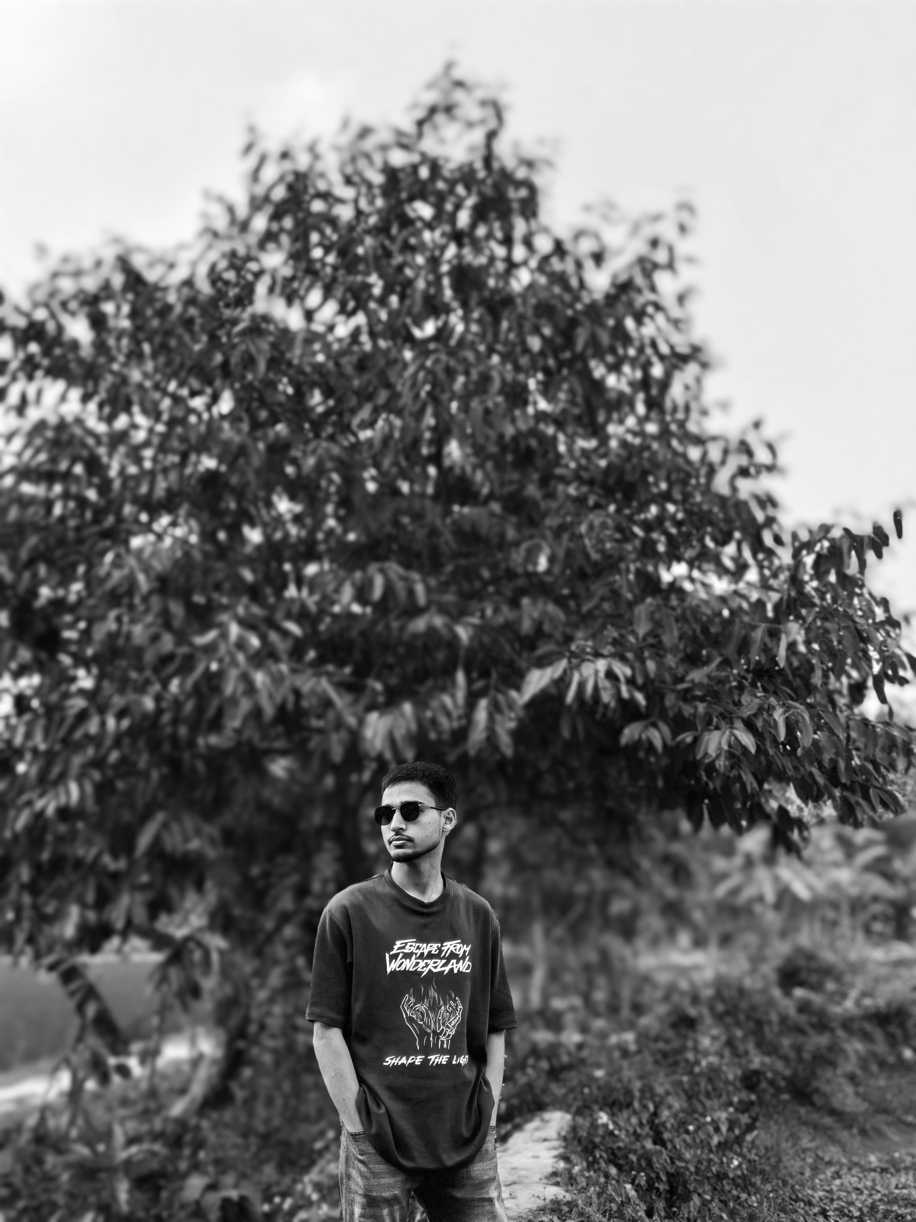 Portrait in the Orchard: A Quiet Stance Under Broad Leaves