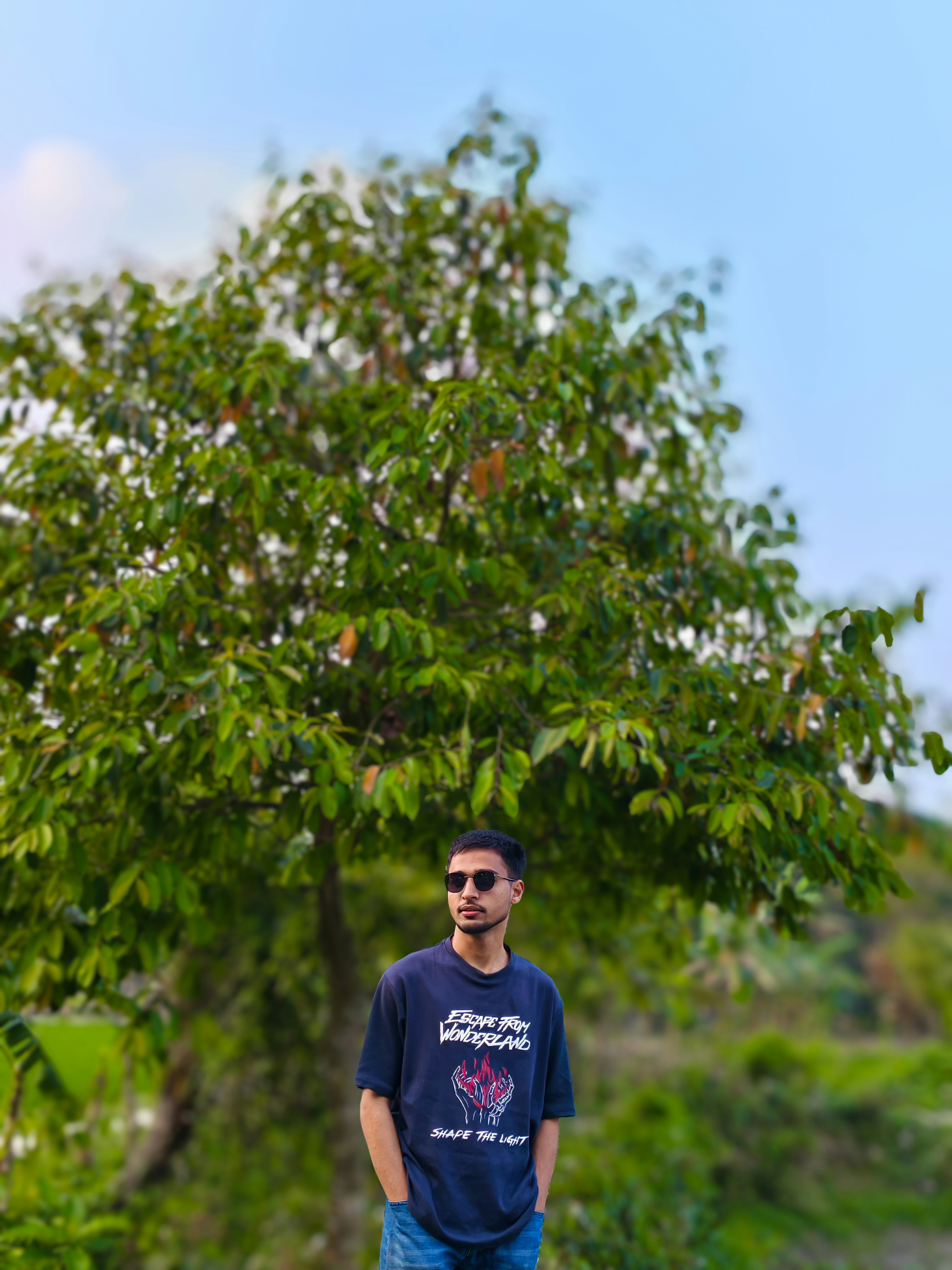 Mellow Confidence Under the Orchard Canopy
