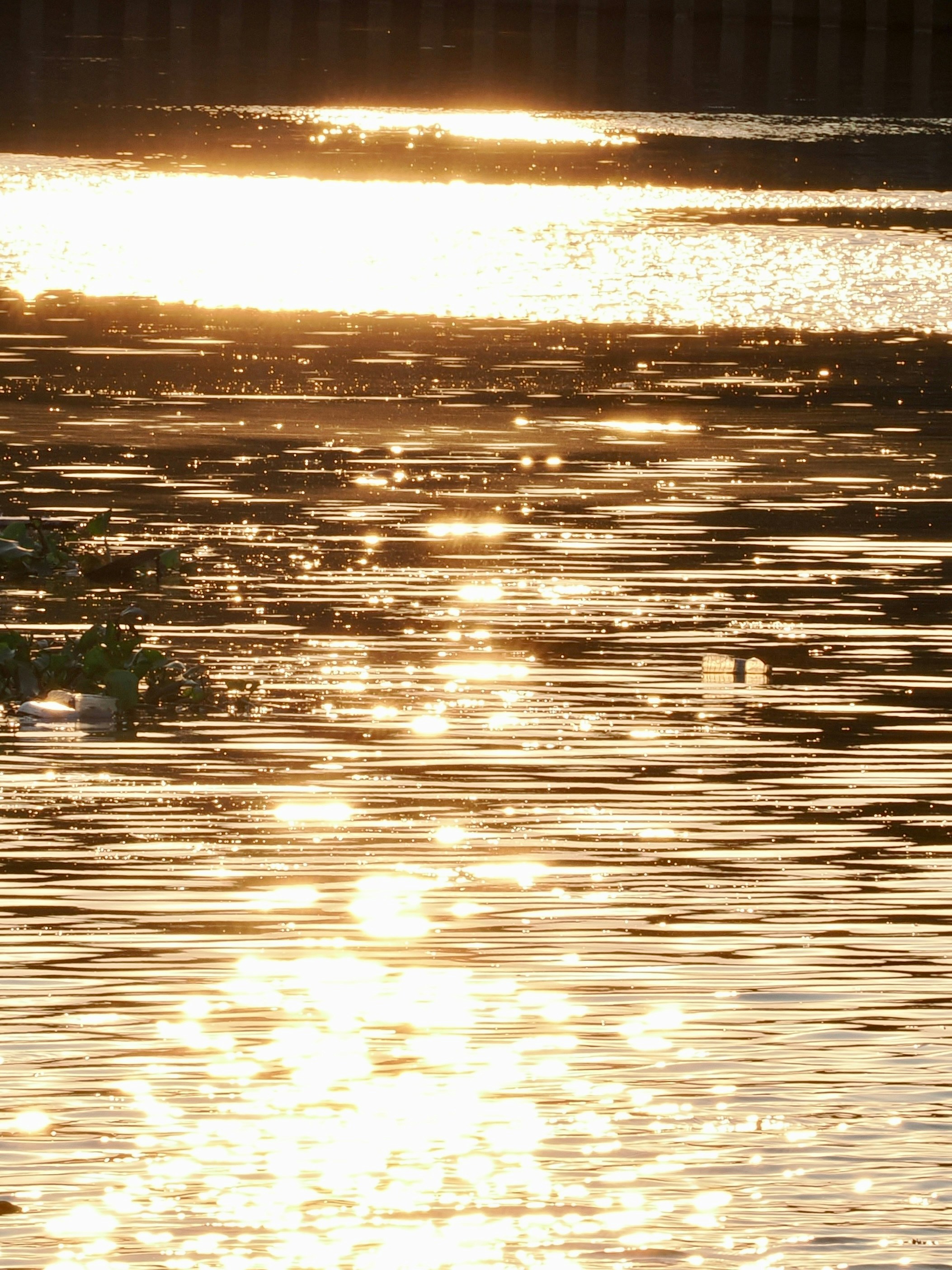 Golden Ripples at Dusk