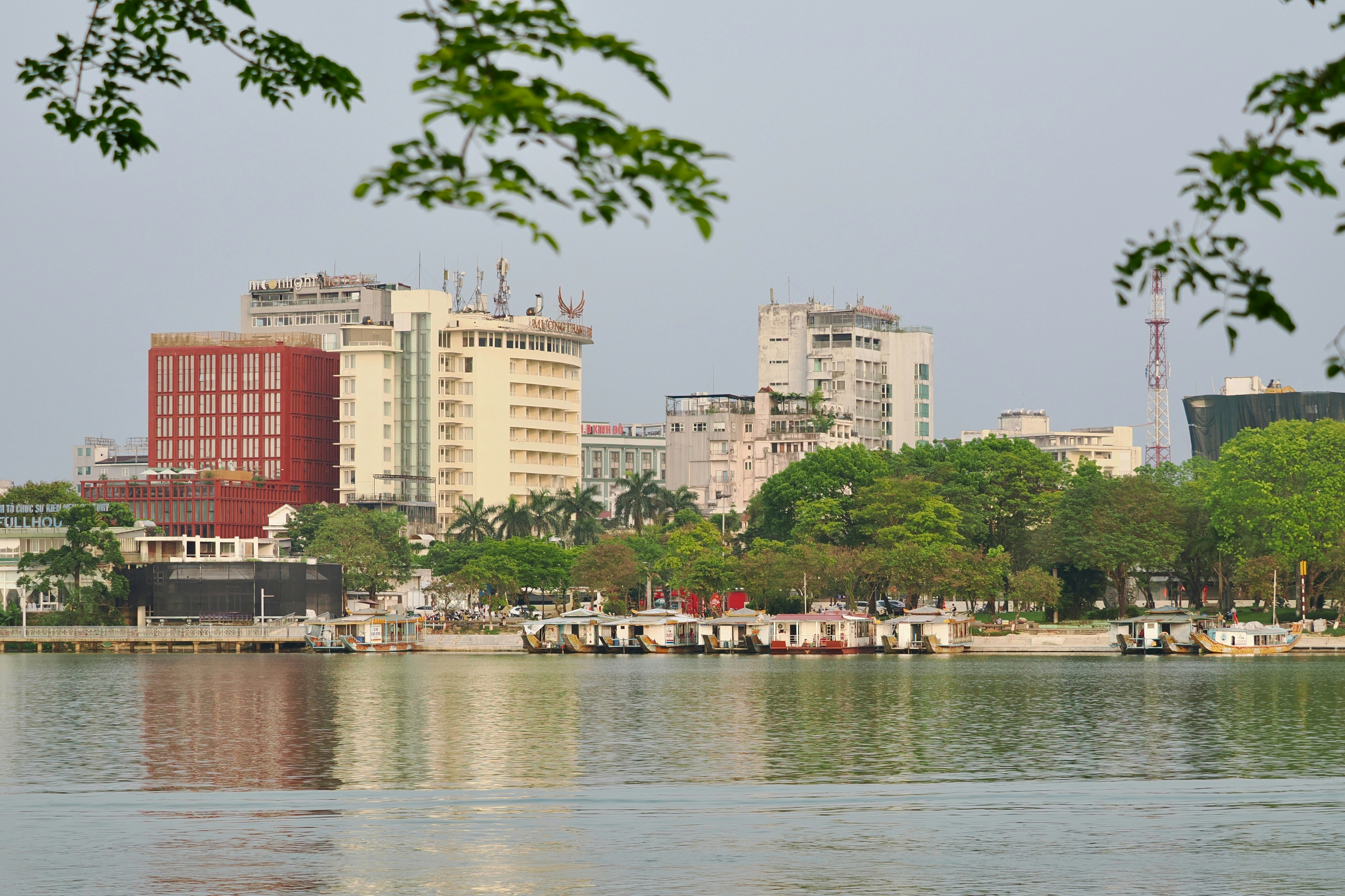 Riverside Edge: Cityscape with Dappled Trees Framing the Waterfront