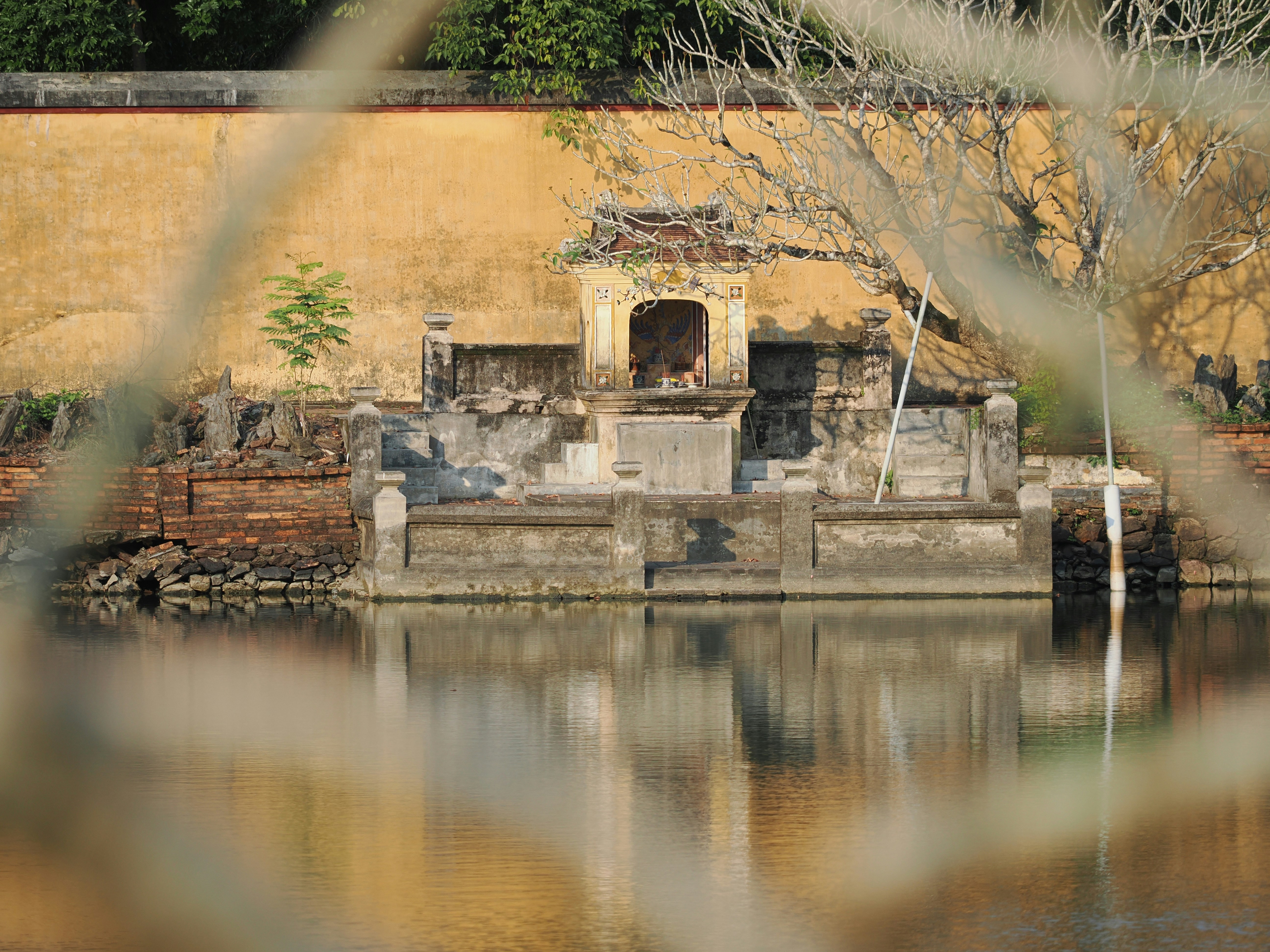 Hidden Shrine by the Riverside: A Quiet Moment Framed by Fronds